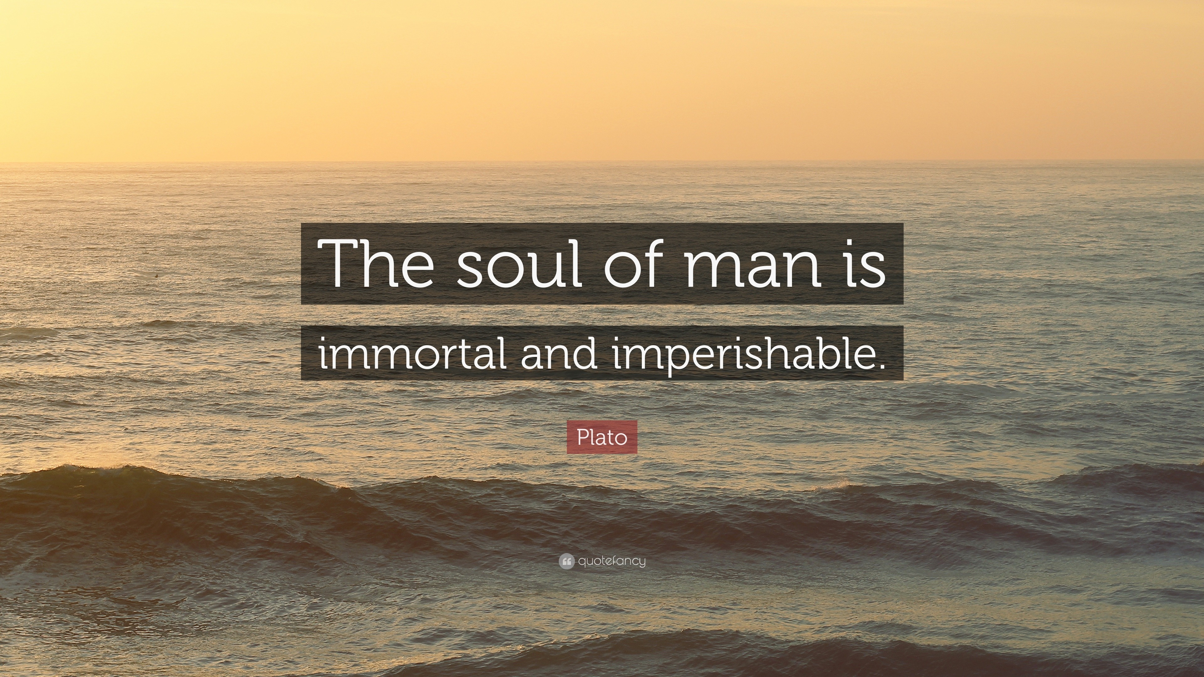 Plato Quote: “The soul of man is immortal and imperishable.”