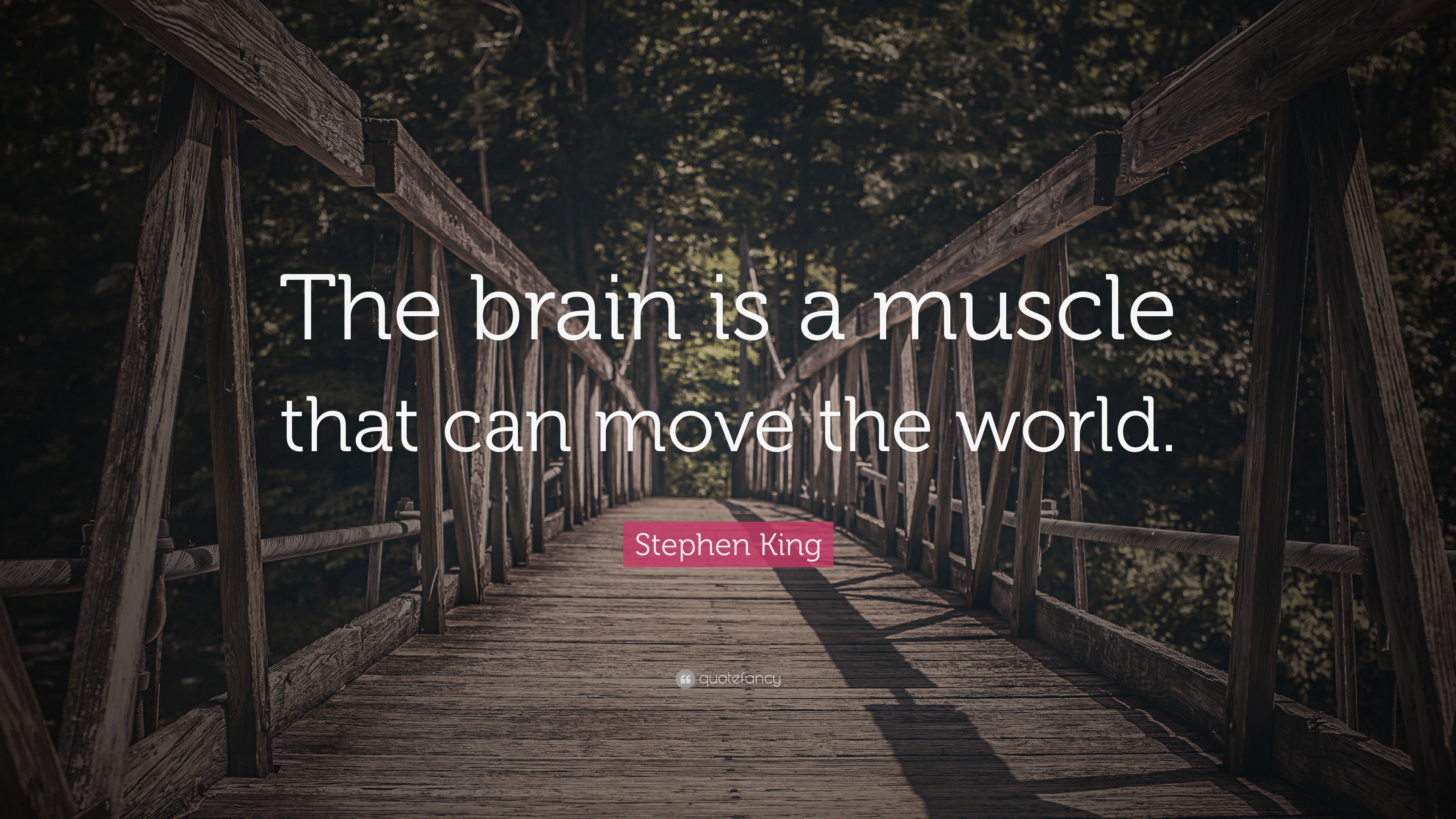 Stephen King Quote: “The brain is a muscle that can move the world.”