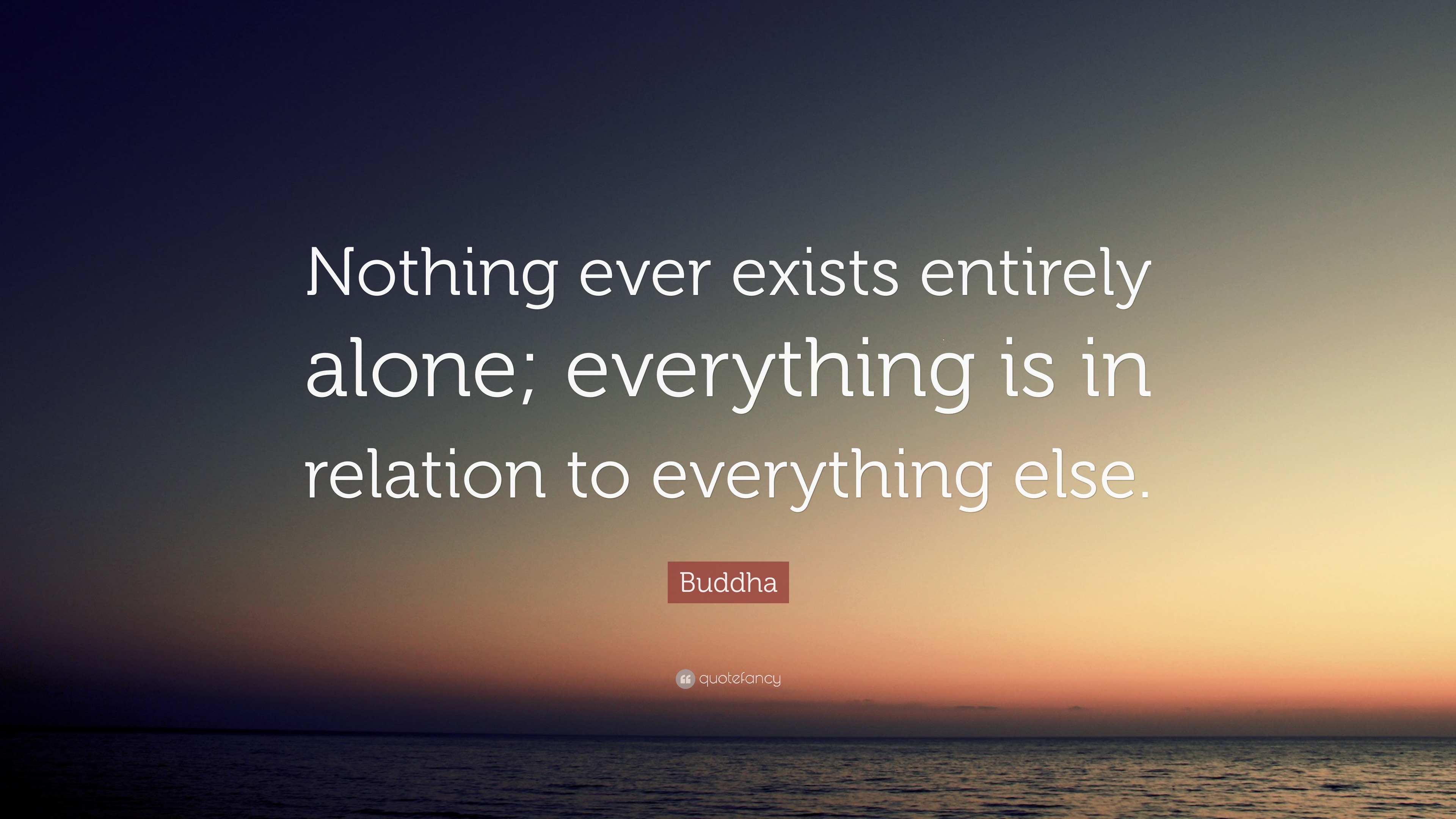Buddha Quote: “Nothing ever exists entirely alone; everything is in relation to everything else.”
