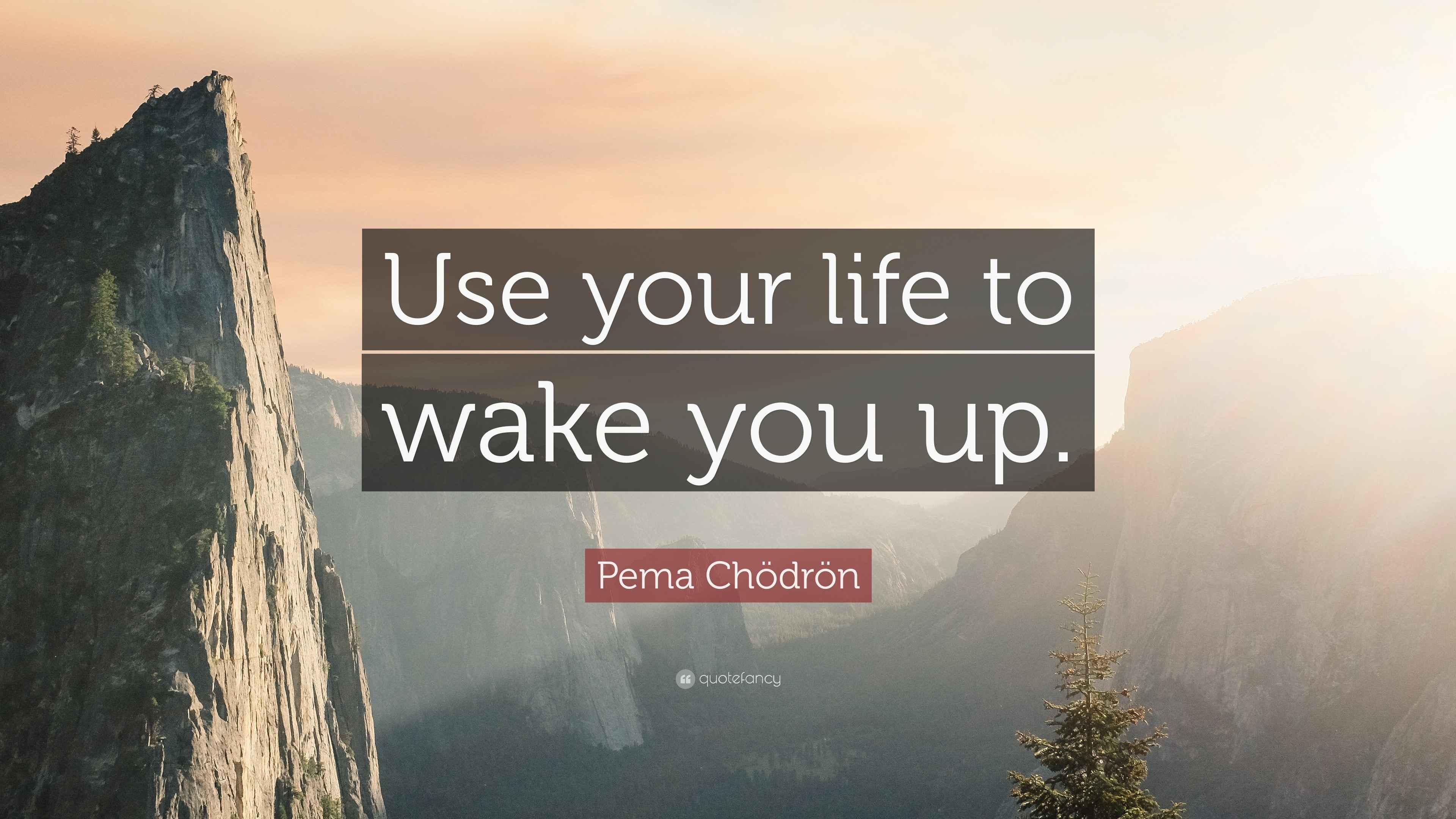 Pema Chödrön Quote: “Use your life to wake you up.”