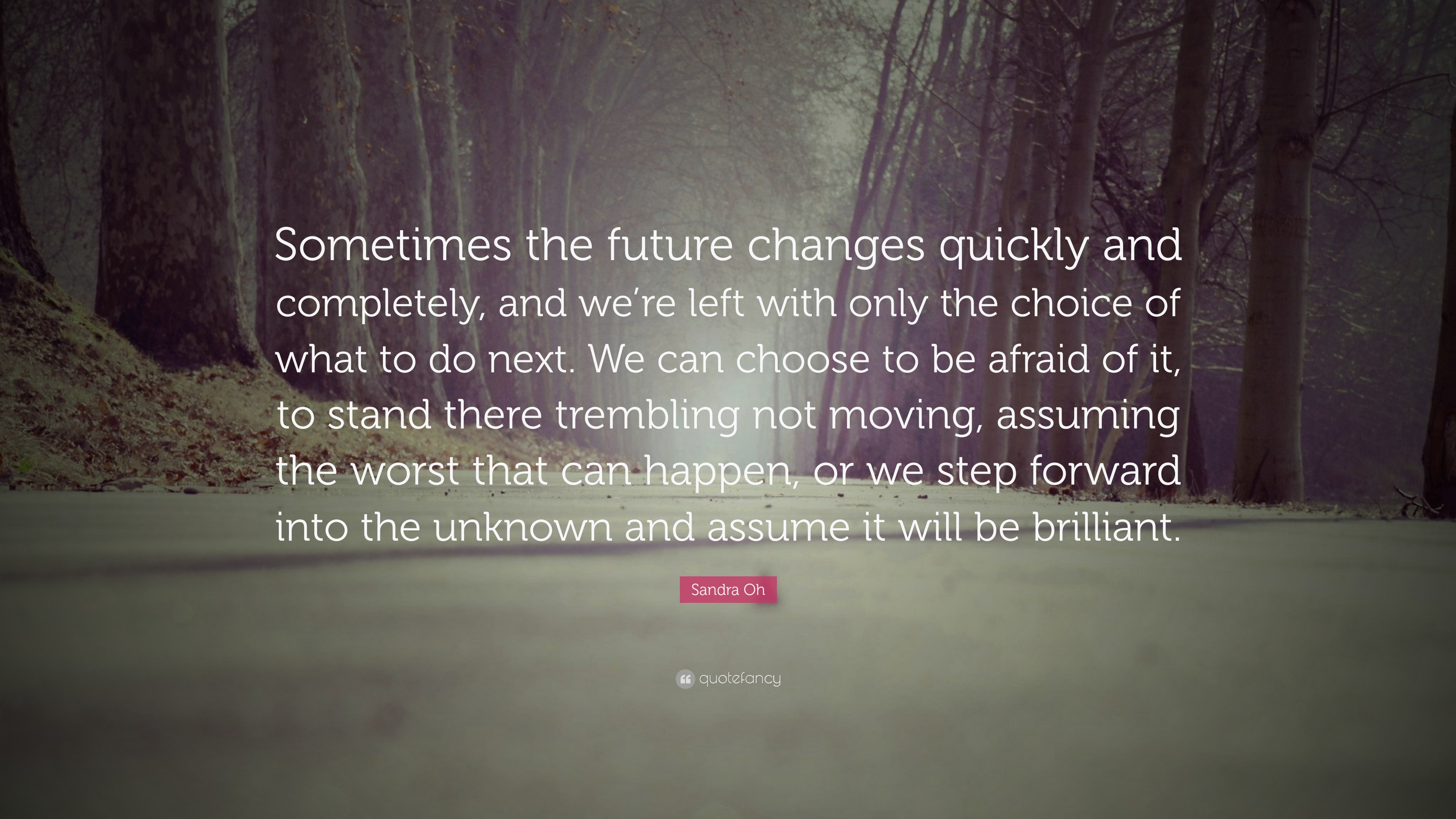 Sandra Oh Quote: “Sometimes the future changes quickly and completely ...