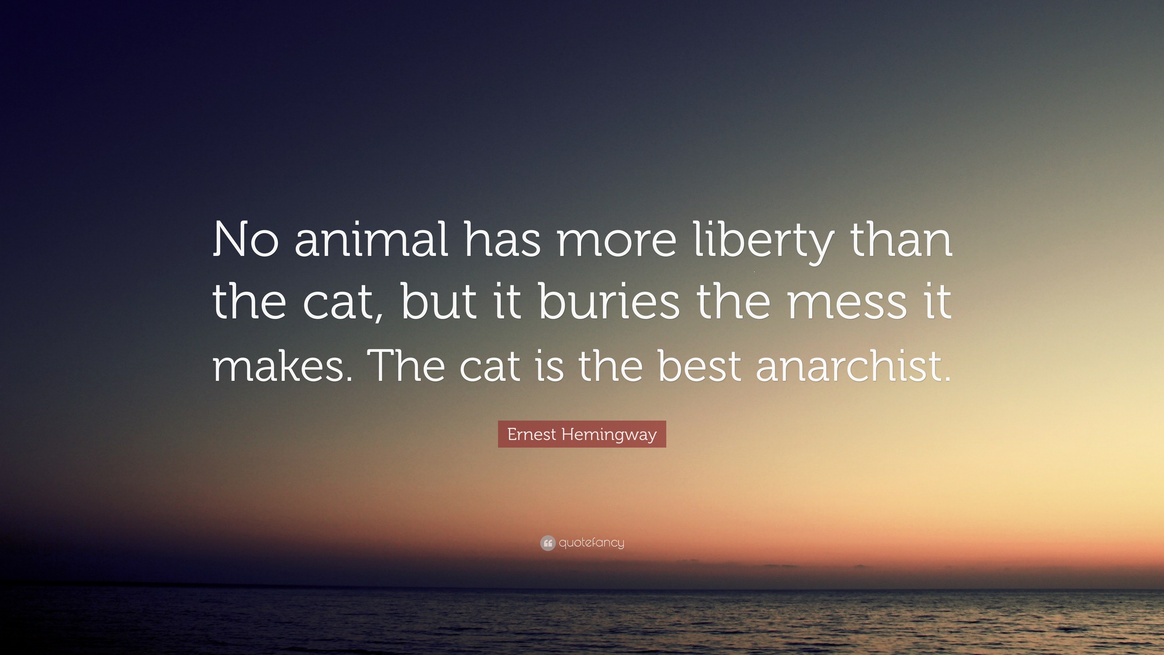 Ernest Hemingway Quote: “No animal has more liberty than the cat, but ...