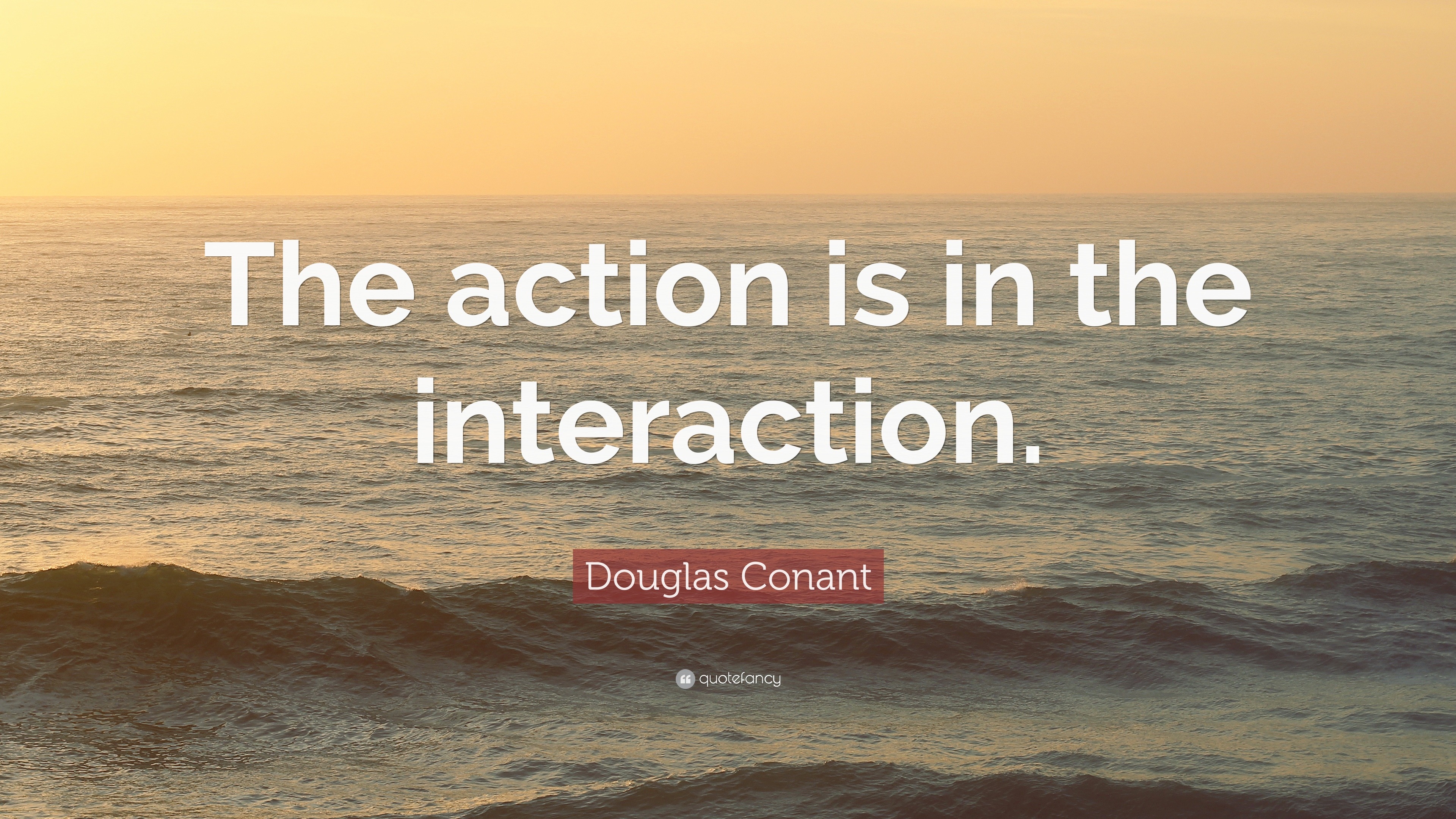 Douglas Conant Quote: “The action is in the interaction.”