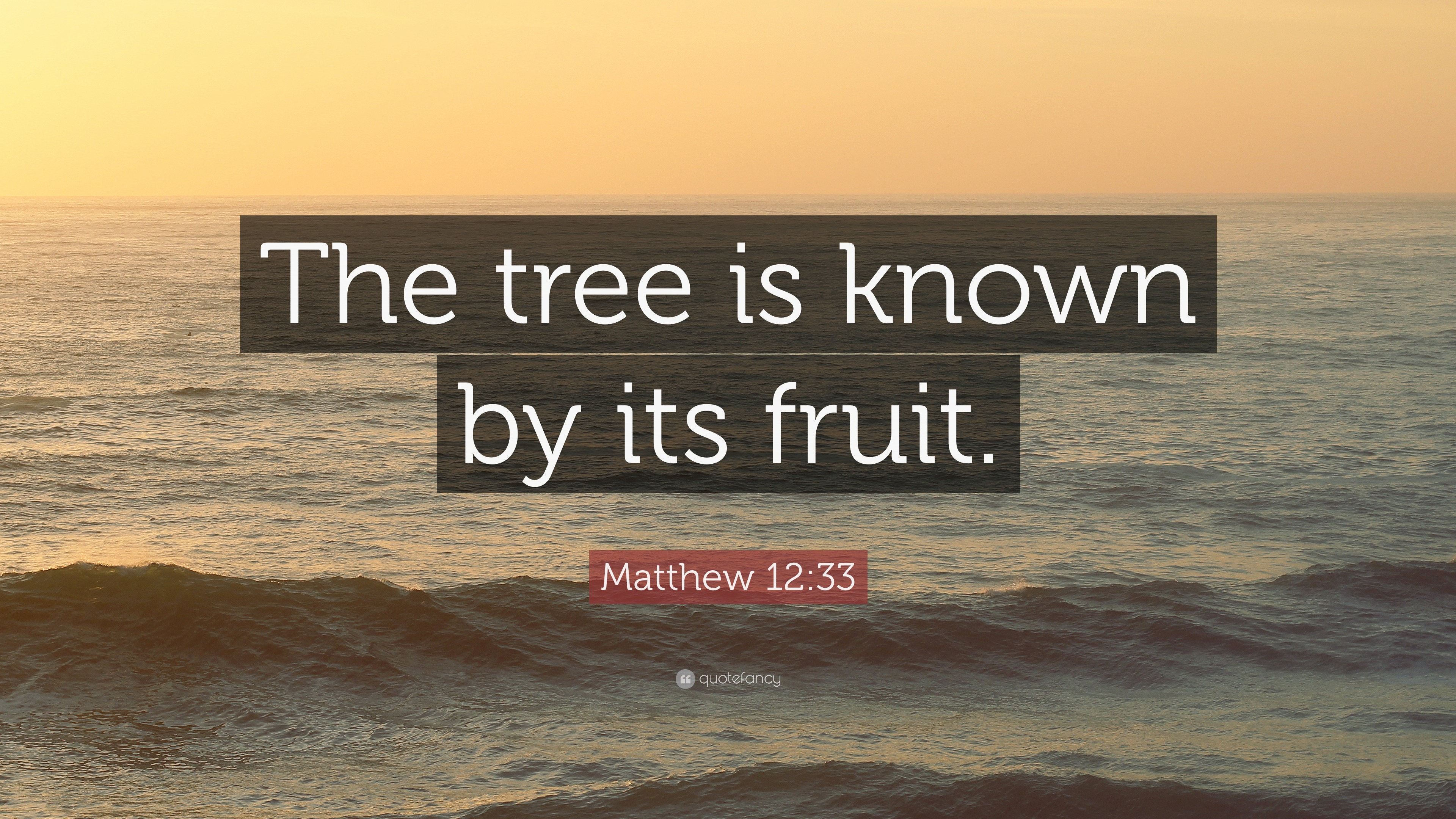 Matthew 12:33 Quote: “The tree is known by its fruit.”