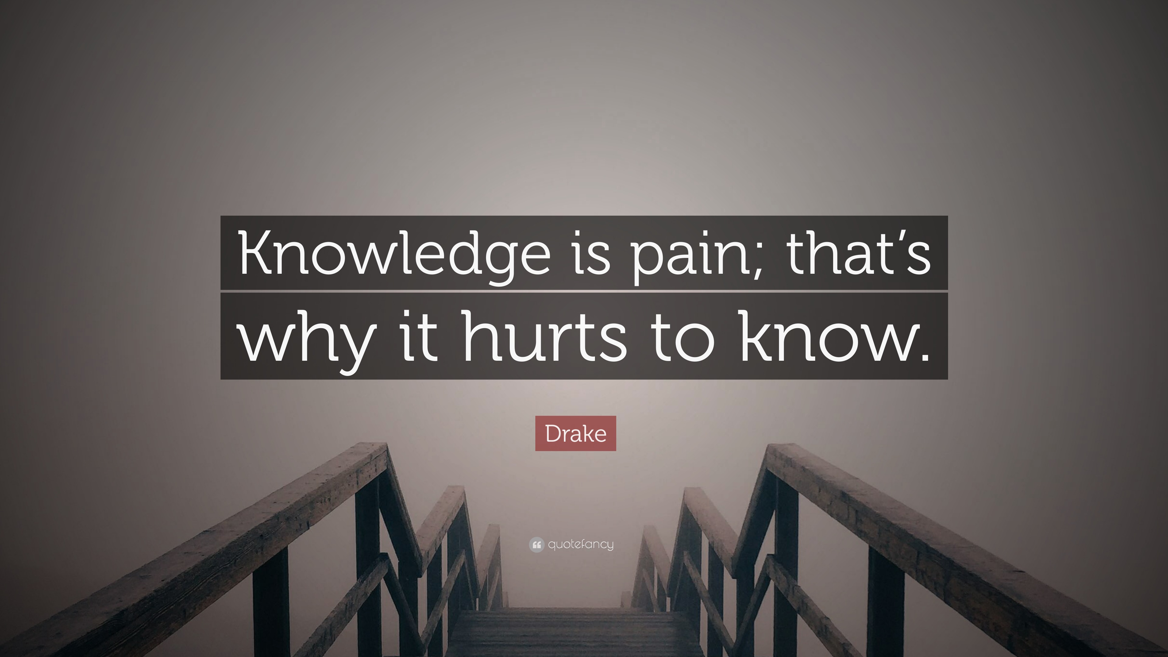Drake Quote: “Knowledge is pain; that’s why it hurts to know.”