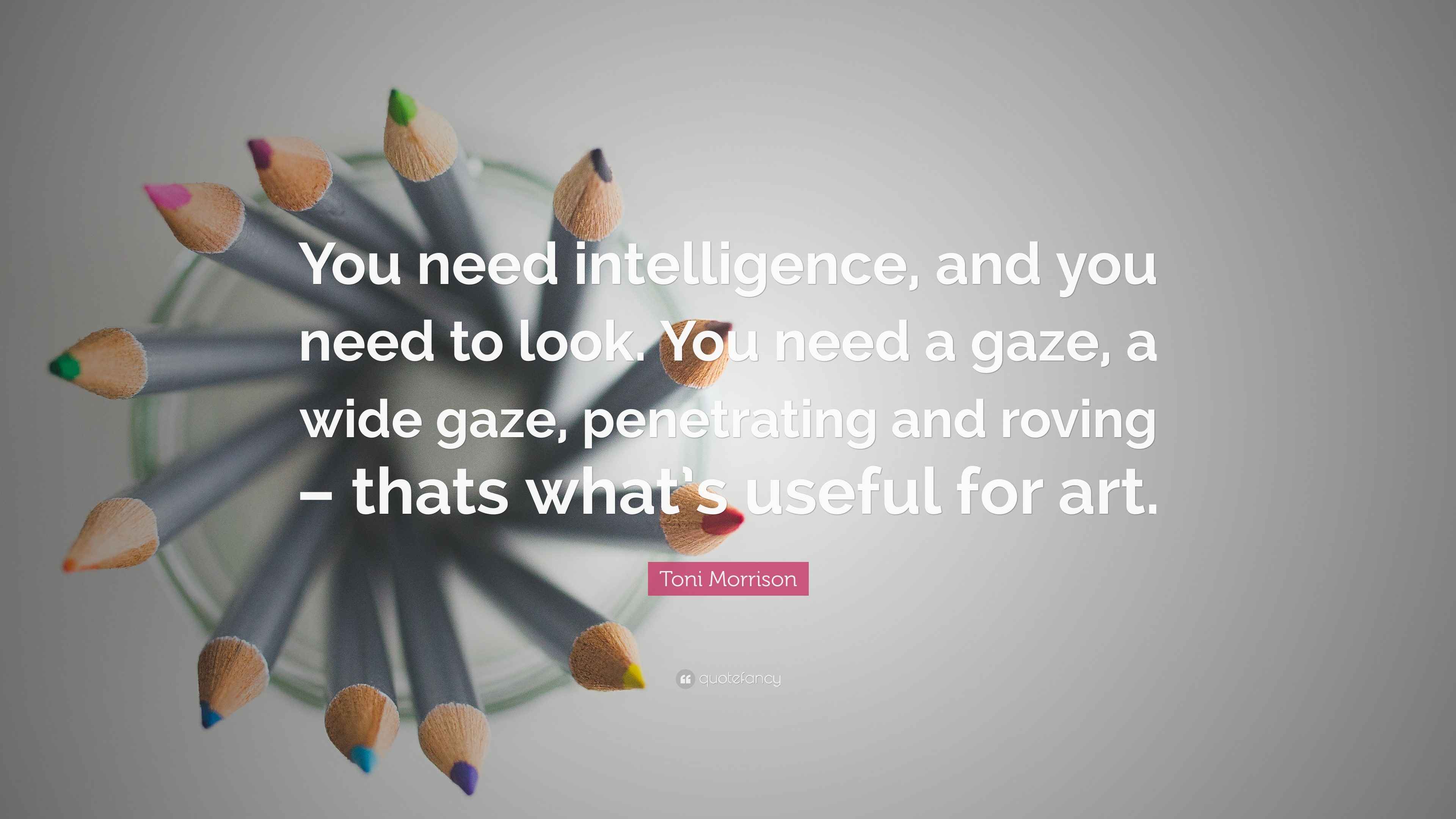 Toni Morrison Quote: “You need intelligence, and you need to look. You ...