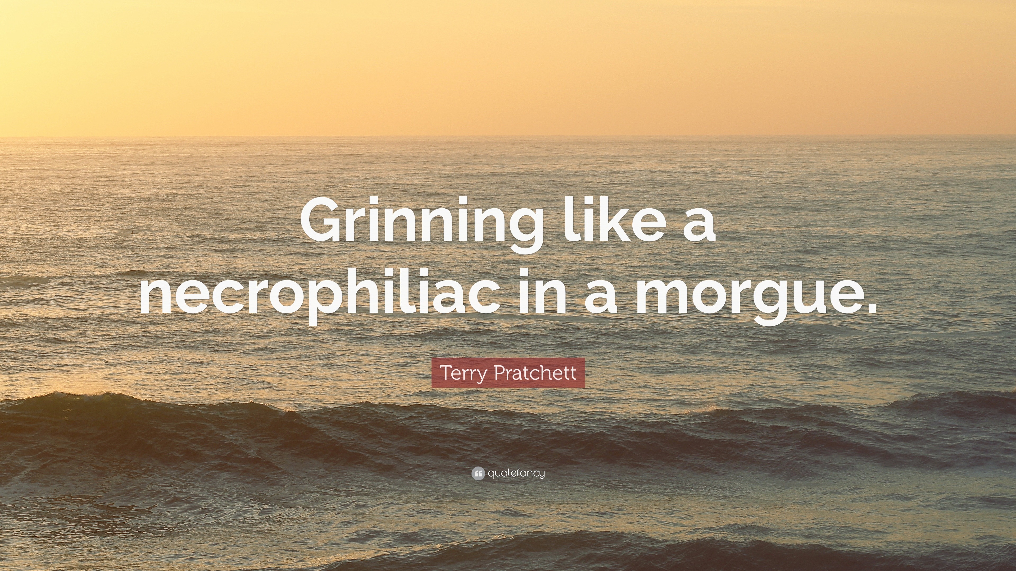 Terry Pratchett Quote: “Grinning like a necrophiliac in a morgue.”
