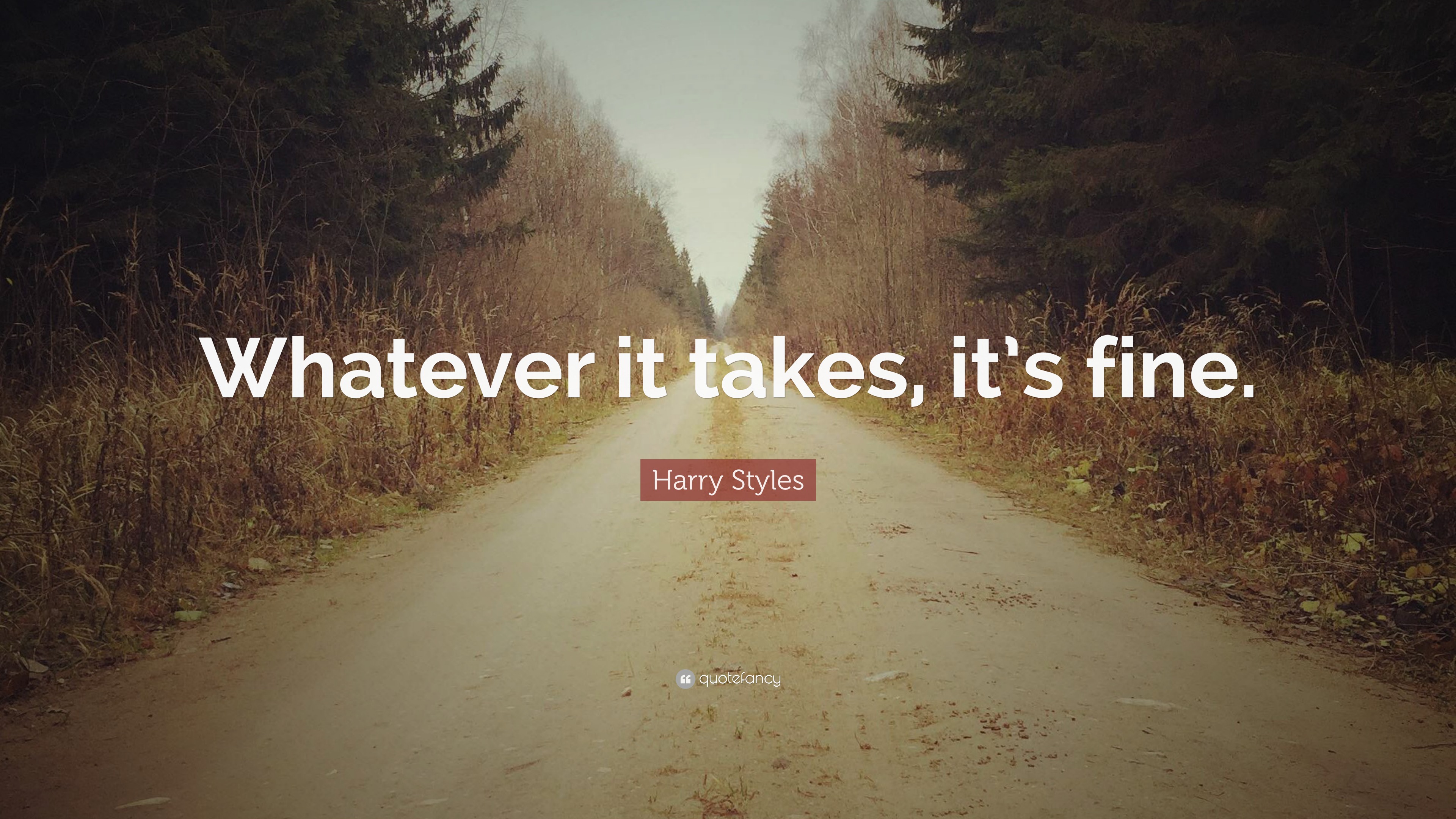 Harry Styles Quote: “Whatever it takes, it’s fine.”