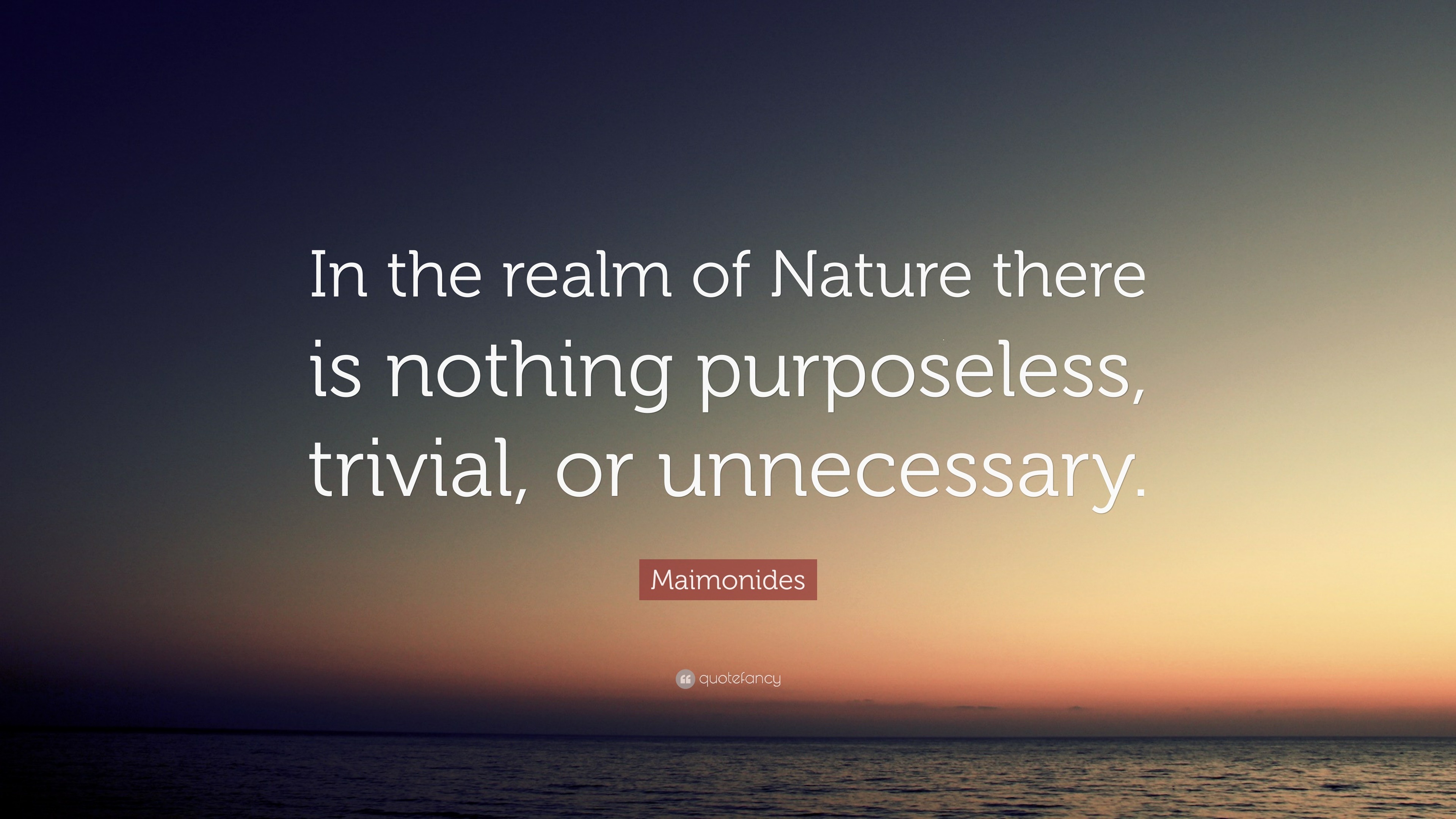 Maimonides Quote: “In the realm of Nature there is nothing purposeless ...