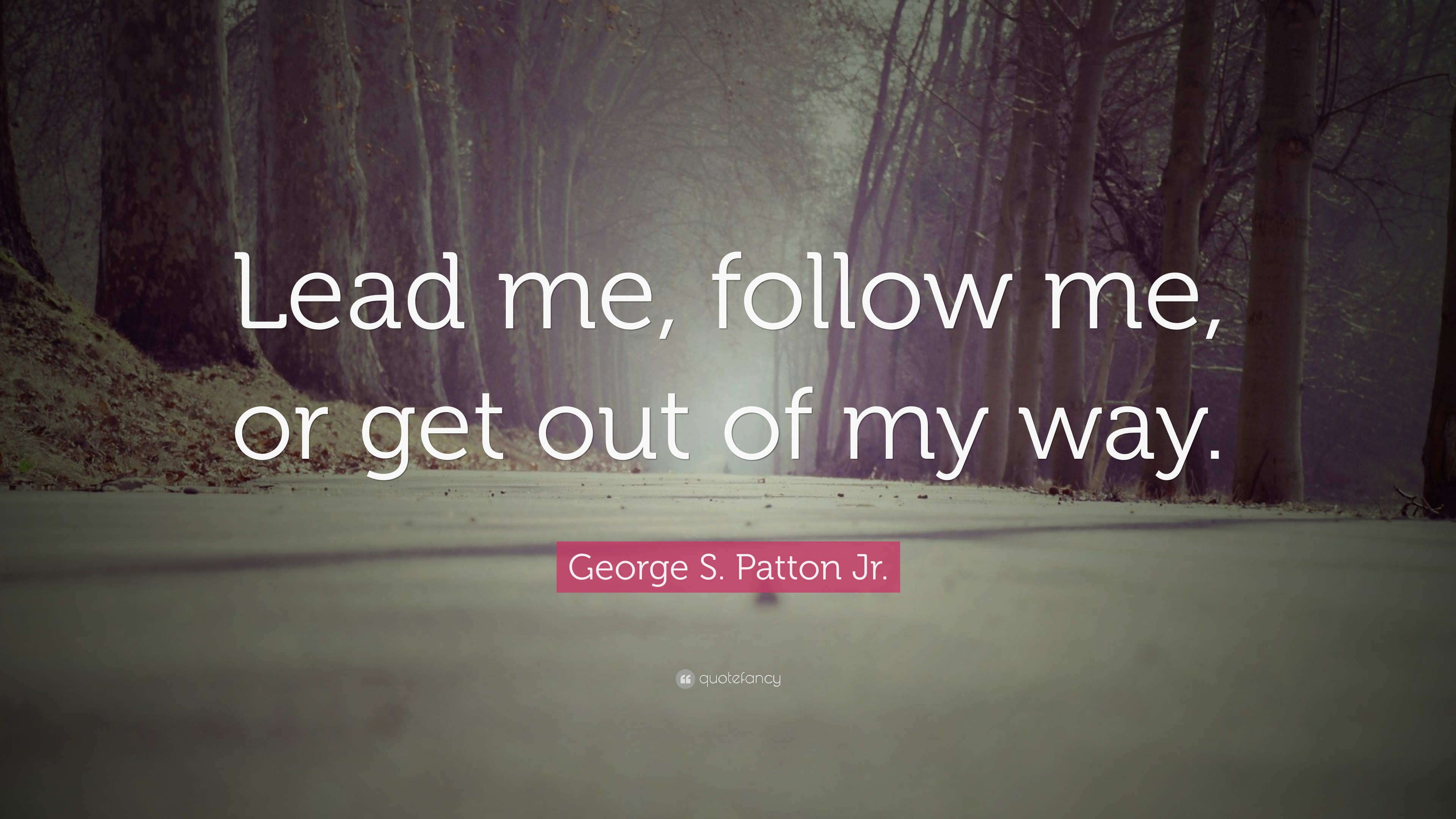 George S. Patton Jr. Quote: “Lead me, follow me, or get out of my way.”