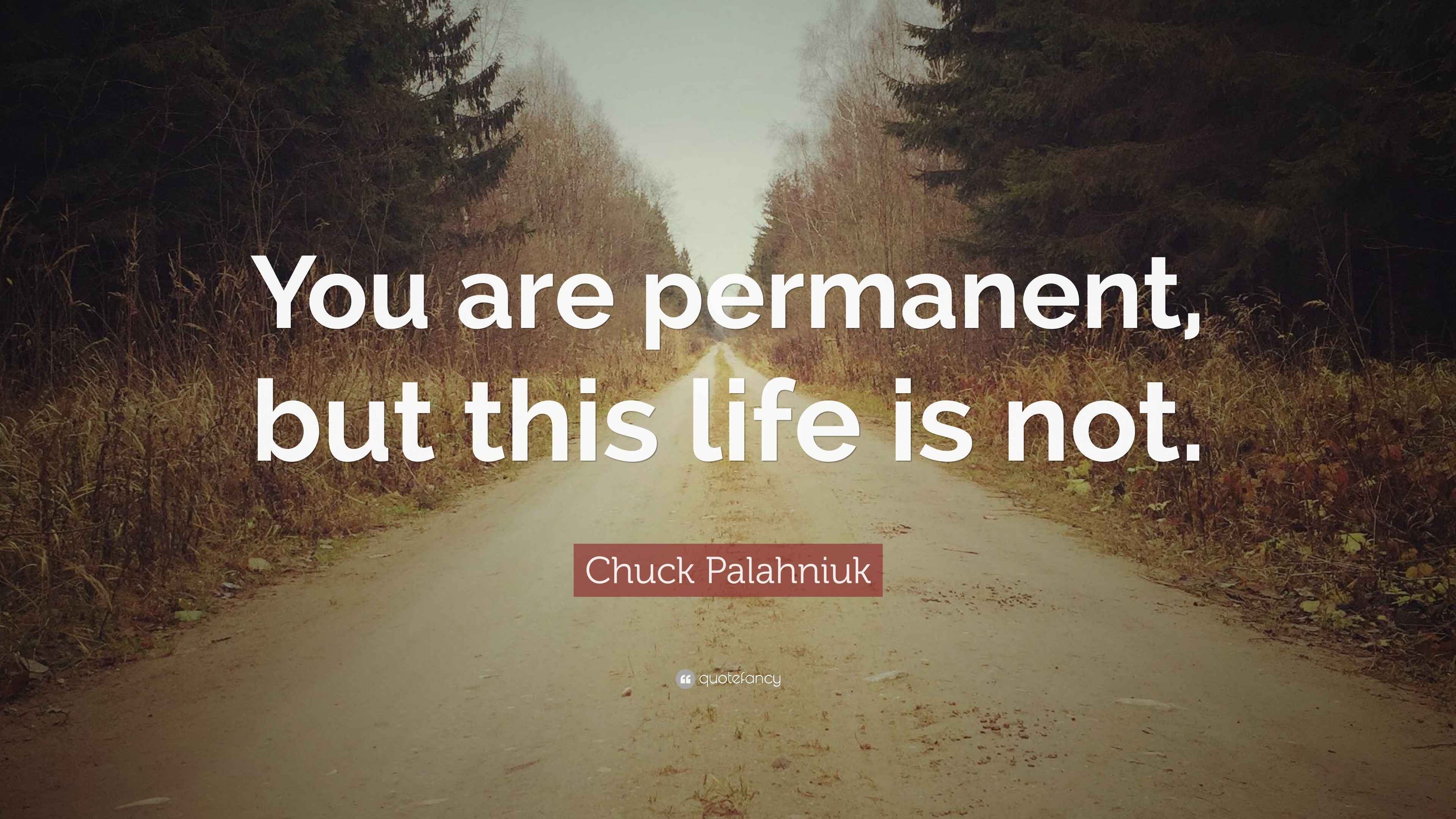 Chuck Palahniuk Quote: “You are permanent, but this life is not.”