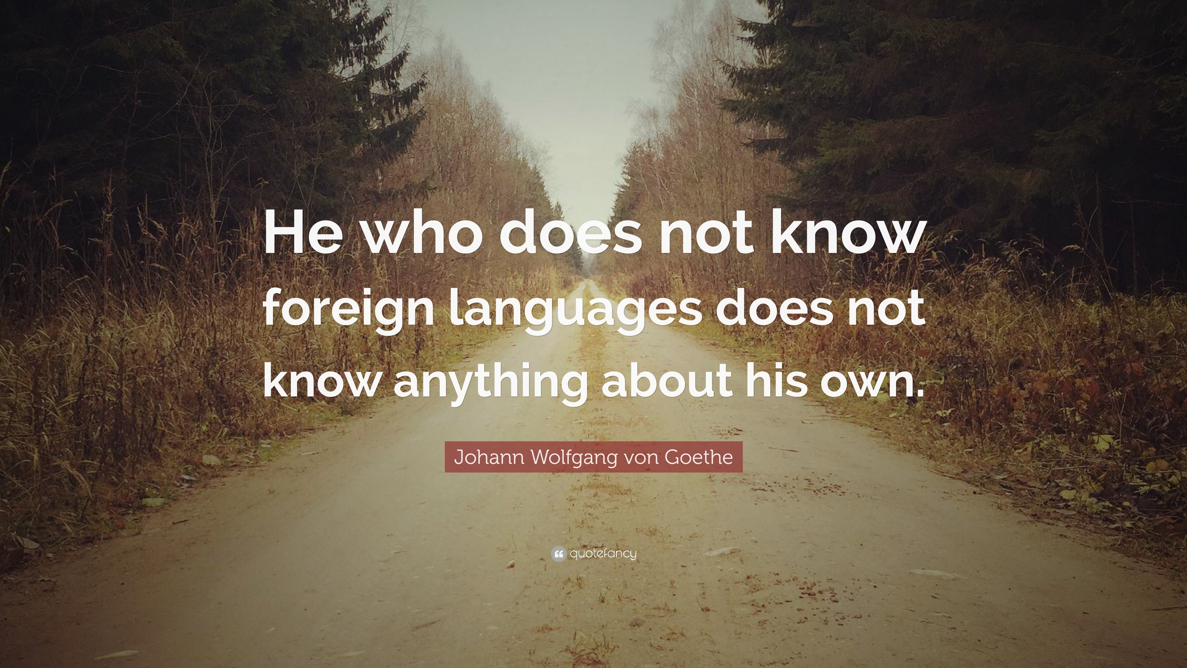 Johann Wolfgang von Goethe Quote: “He who does not know foreign ...