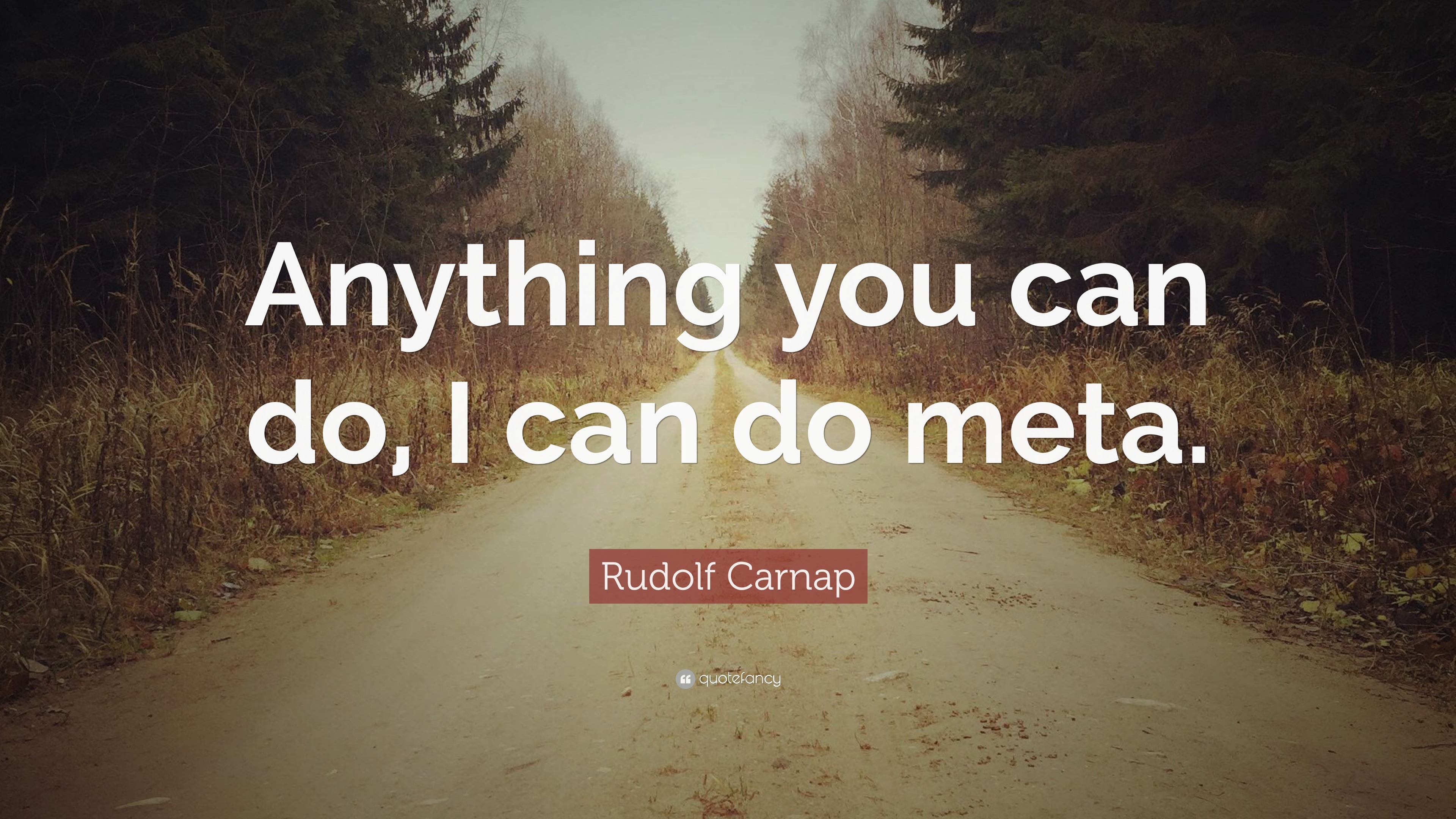 Rudolf Carnap Quote: “Anything you can do, I can do meta.”