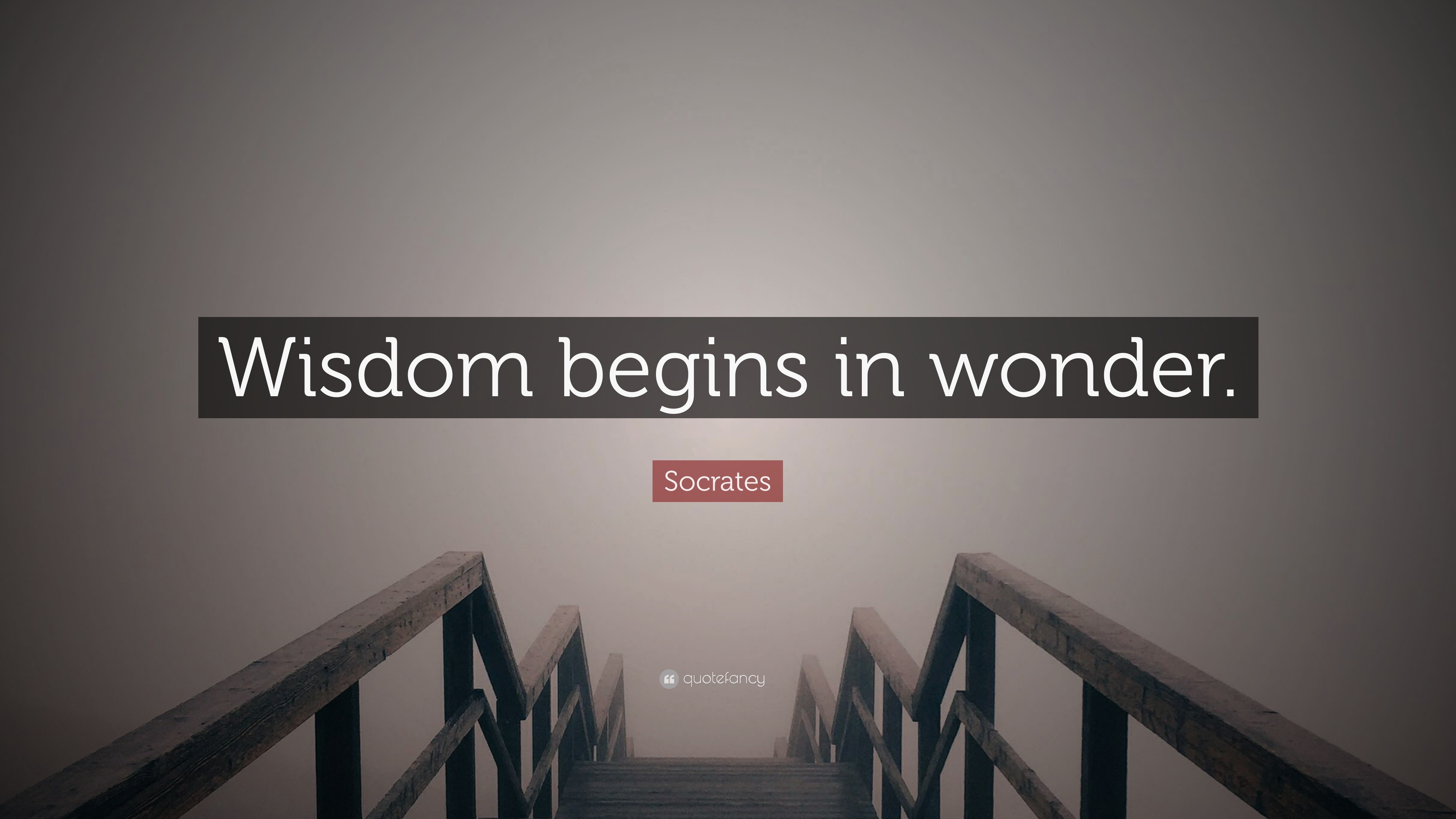 Socrates Quote: “Wisdom begins in wonder.”