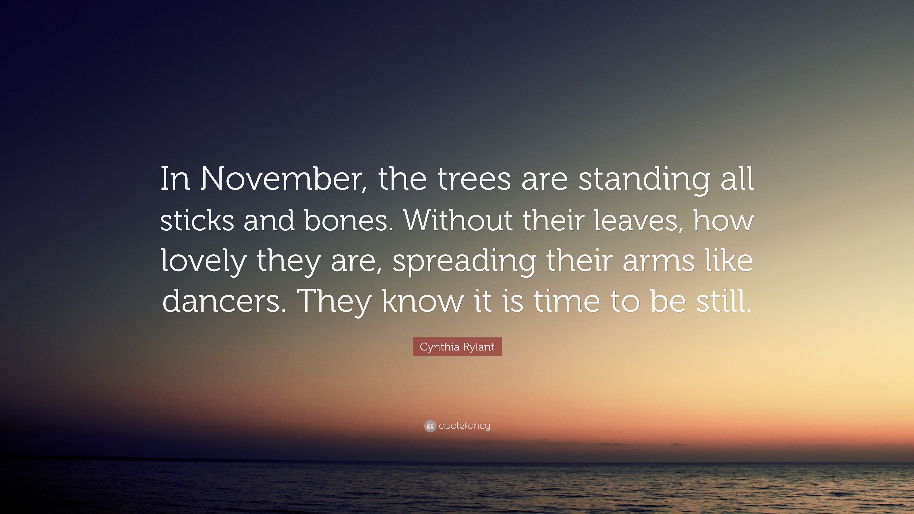 Cynthia Rylant Quote: “In November, the trees are standing all sticks ...