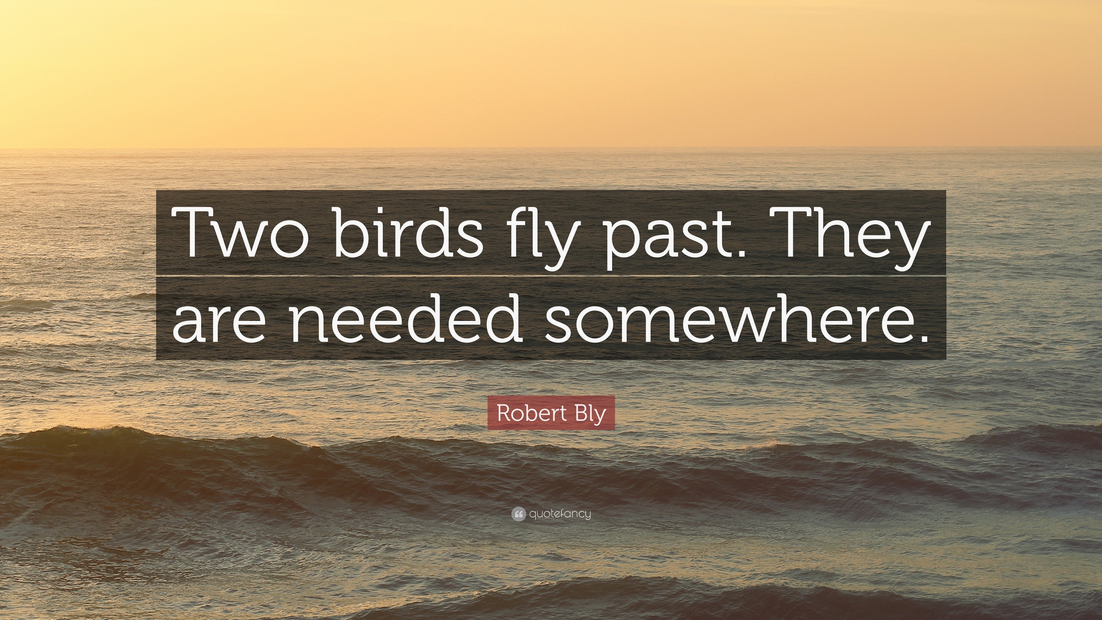 Robert Bly Quote: “Two birds fly past. They are needed somewhere.”