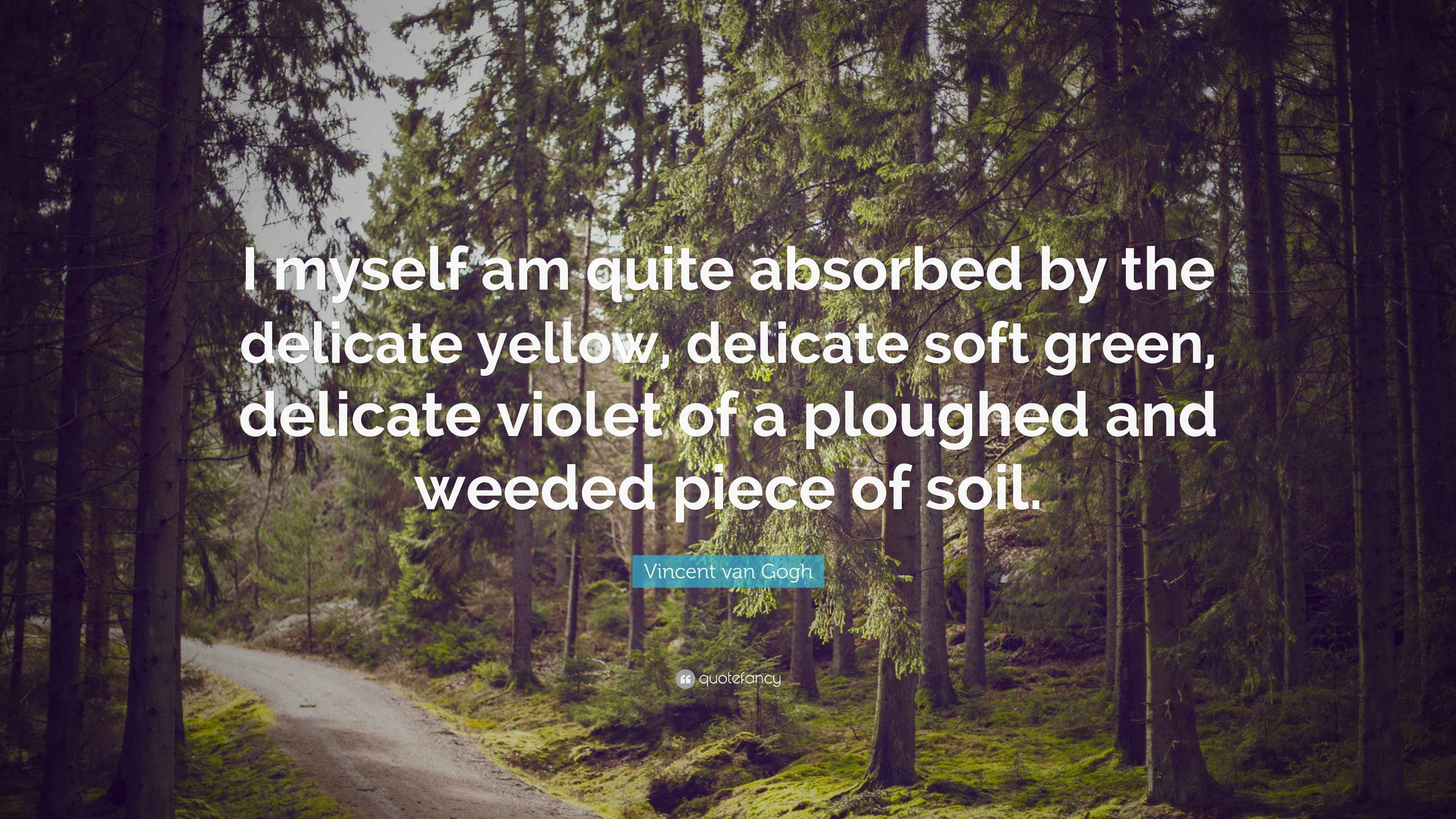 Vincent van Gogh Quote: “I myself am quite absorbed by the delicate ...