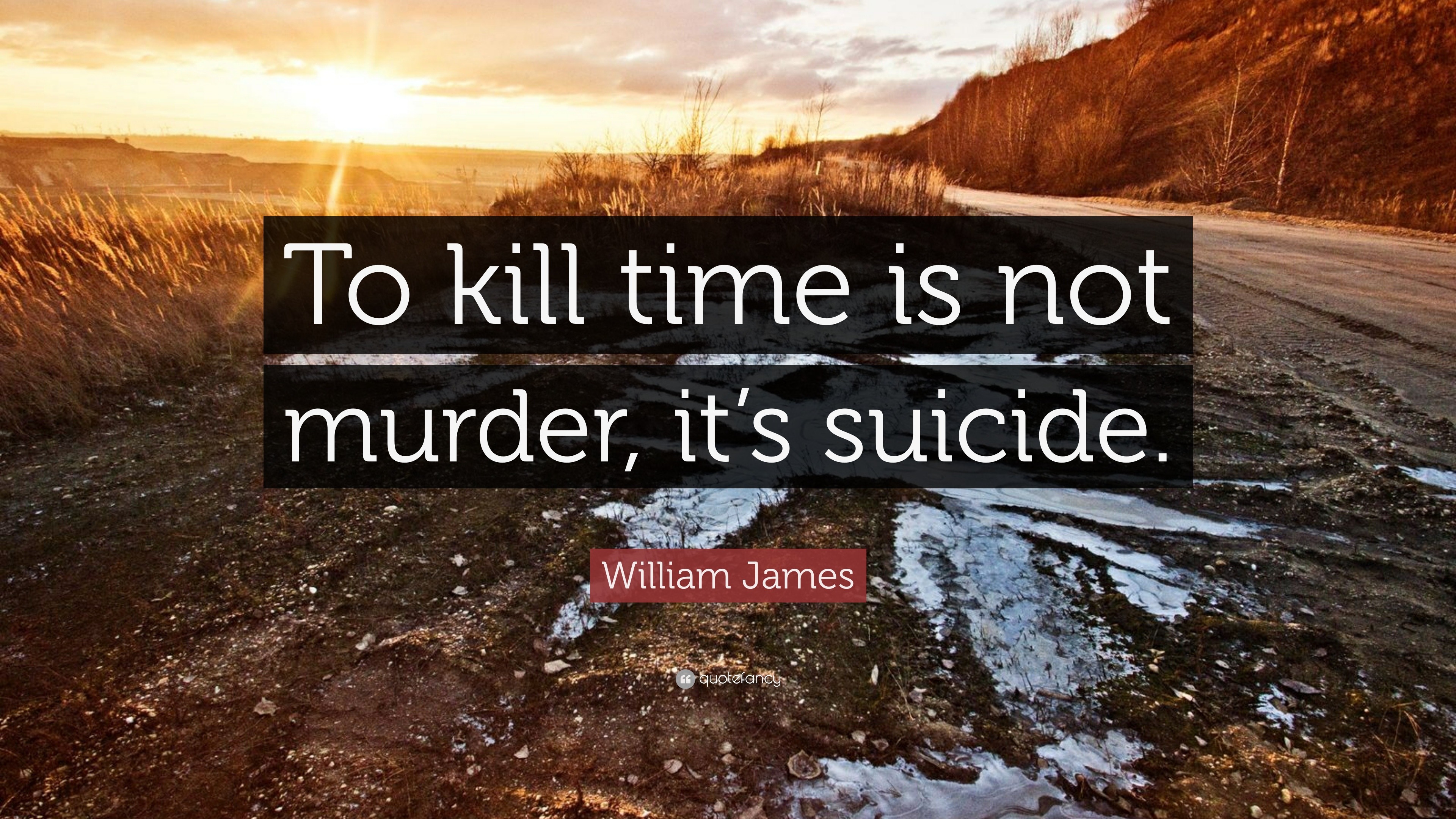William James Quote: “To kill time is not murder, it’s suicide.”