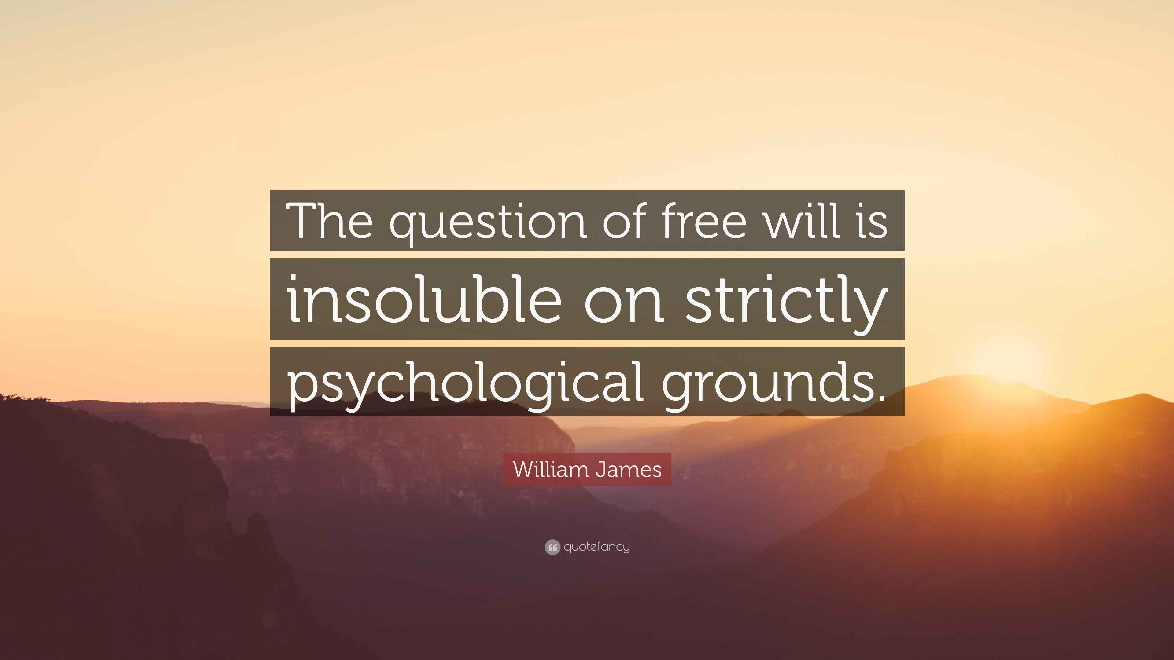 William James Quote: “The question of free will is insoluble on ...