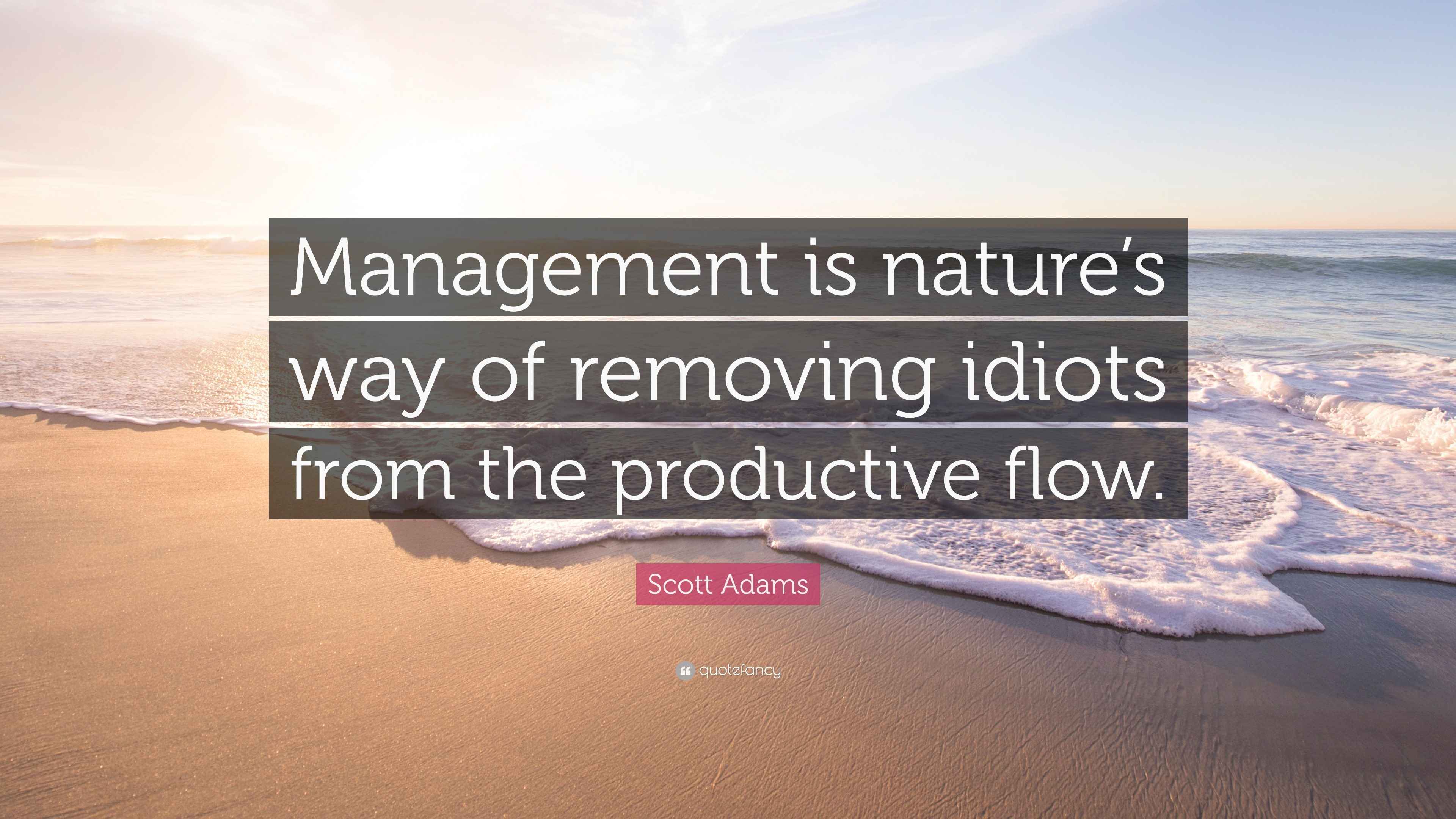 Scott Adams Quote: “Management is nature’s way of removing idiots from ...