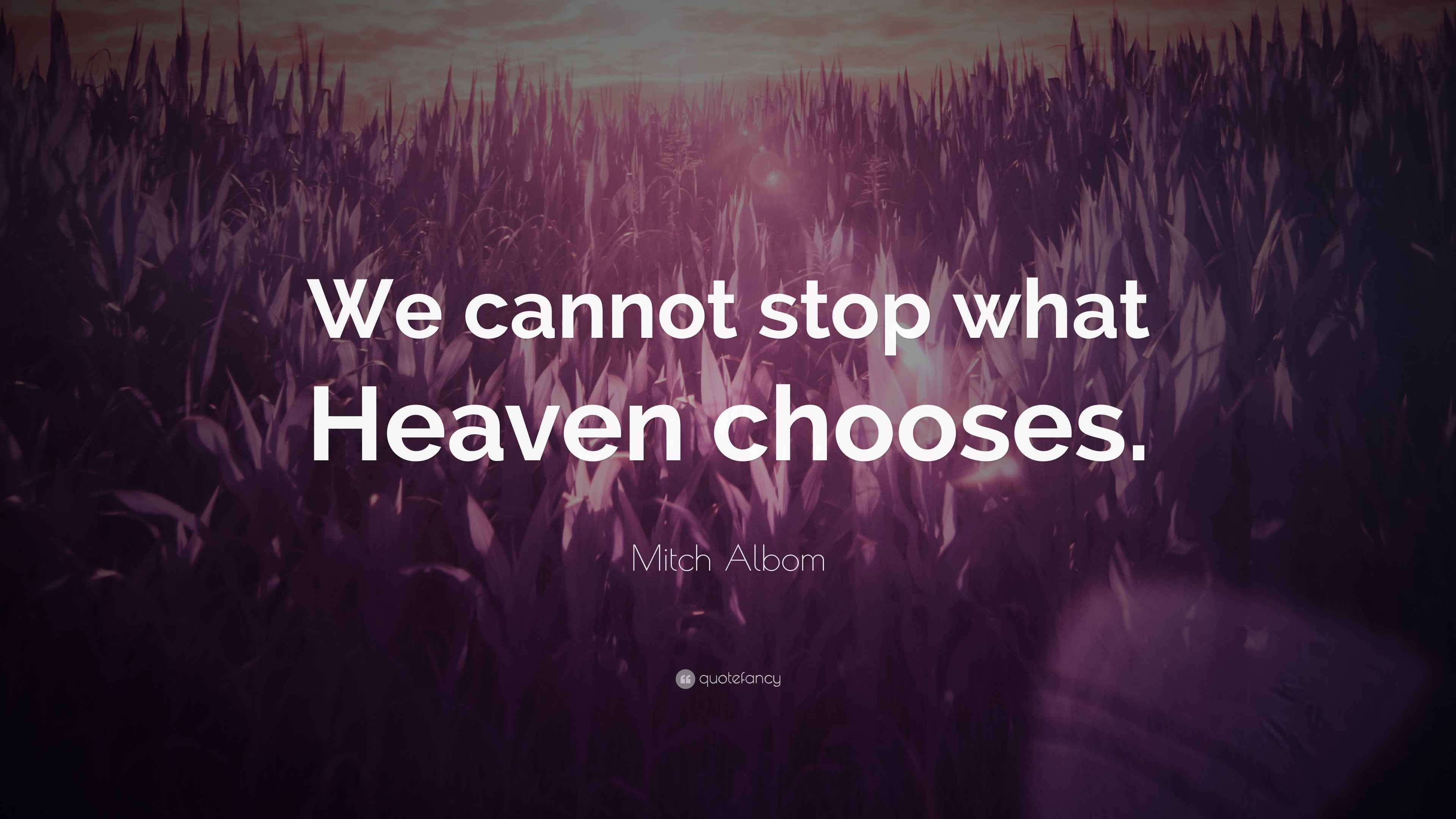 Mitch Albom Quote: “We cannot stop what Heaven chooses.”