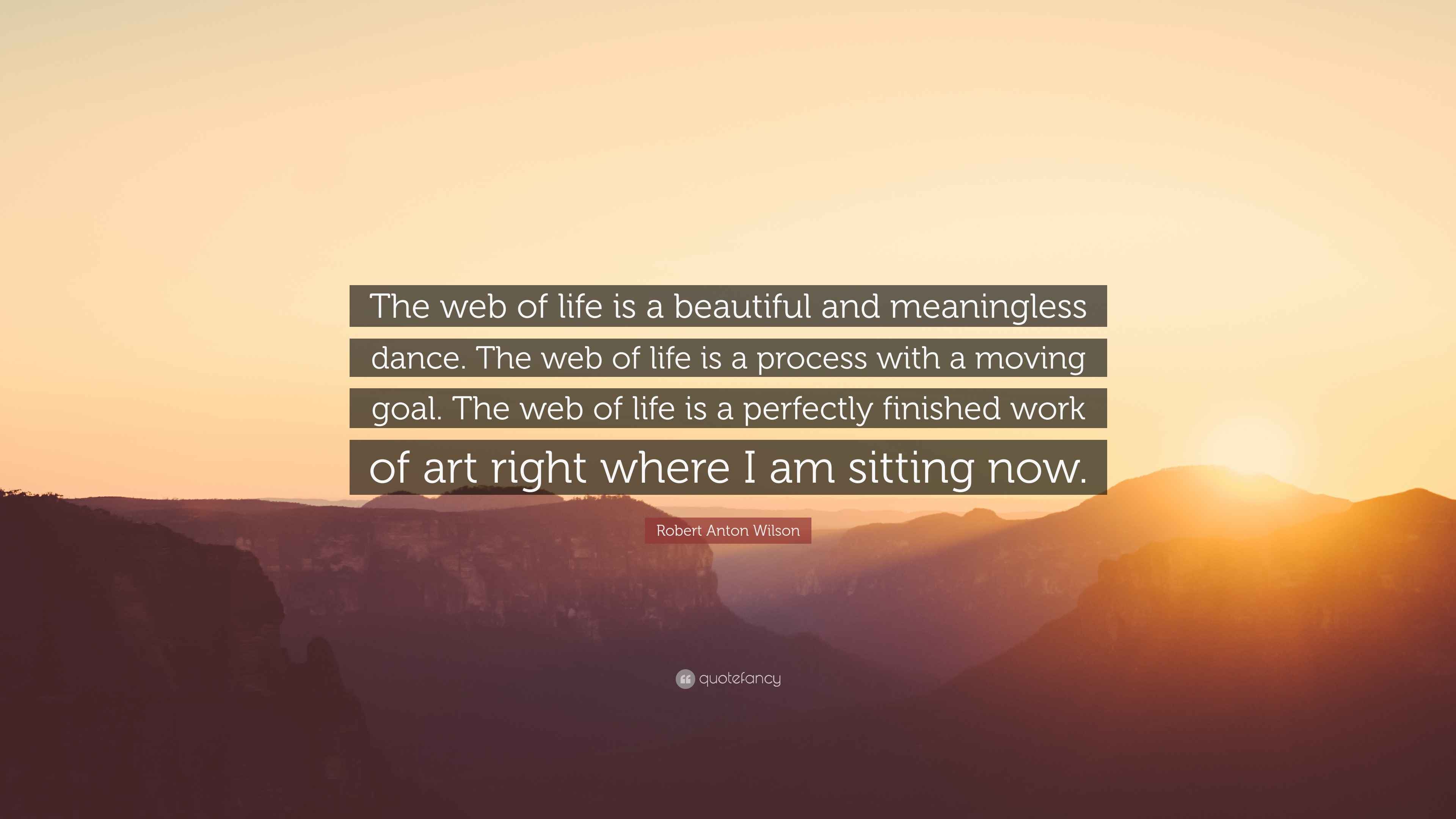 Robert Anton Wilson Quote: “The web of life is a beautiful and ...