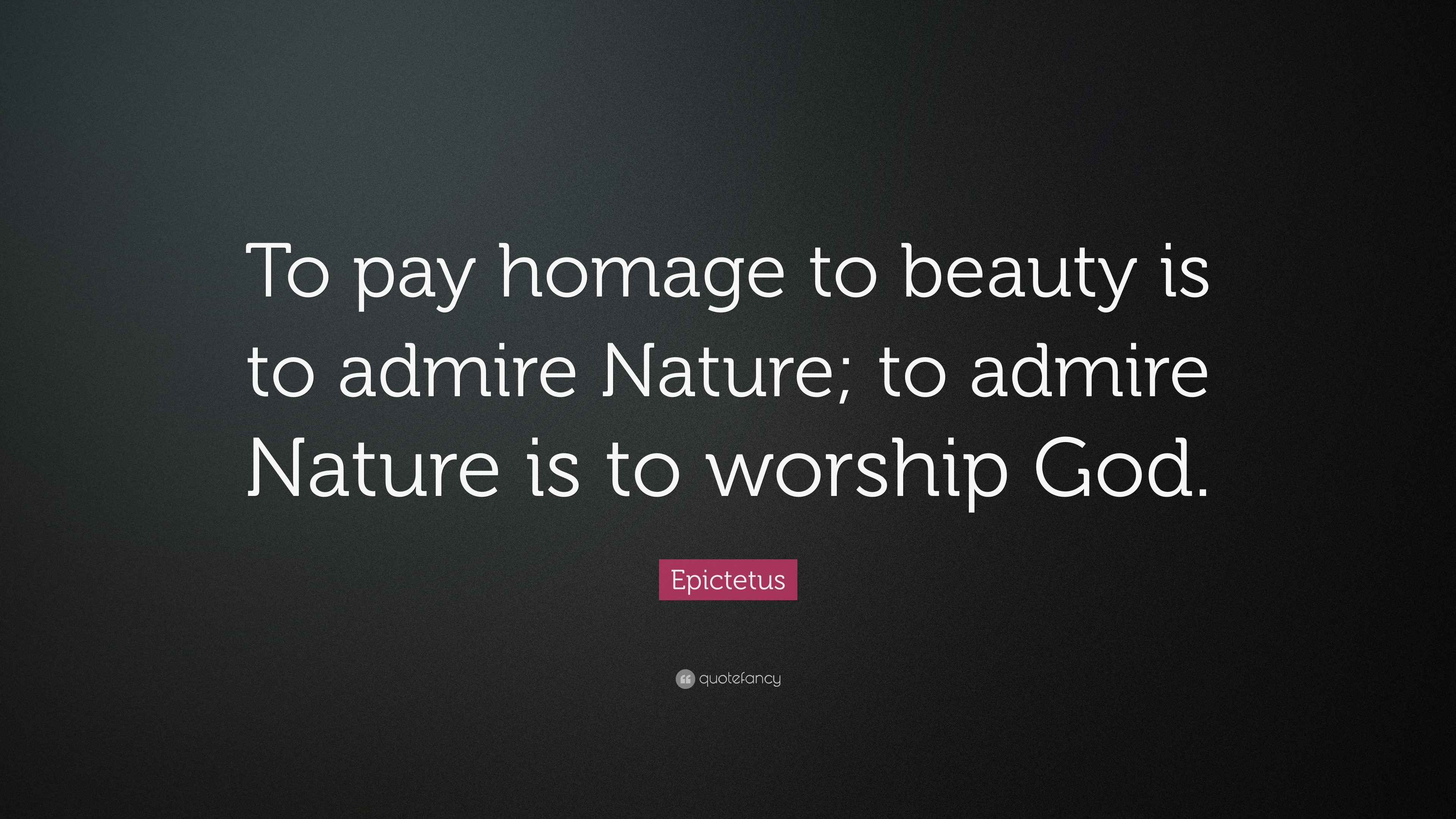 Epictetus Quote: “To pay homage to beauty is to admire Nature; to ...