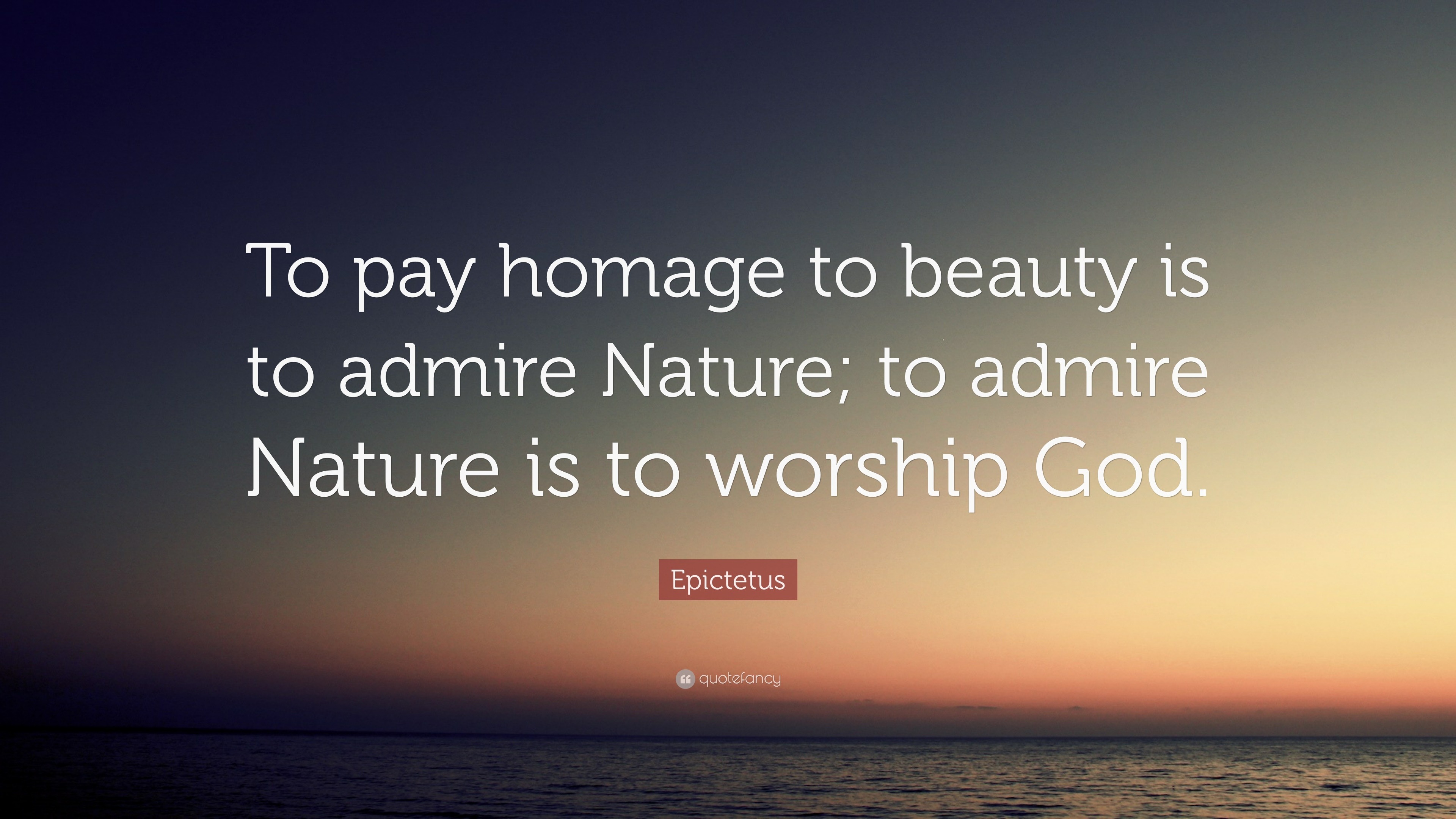 Epictetus Quote: “To pay homage to beauty is to admire Nature; to ...