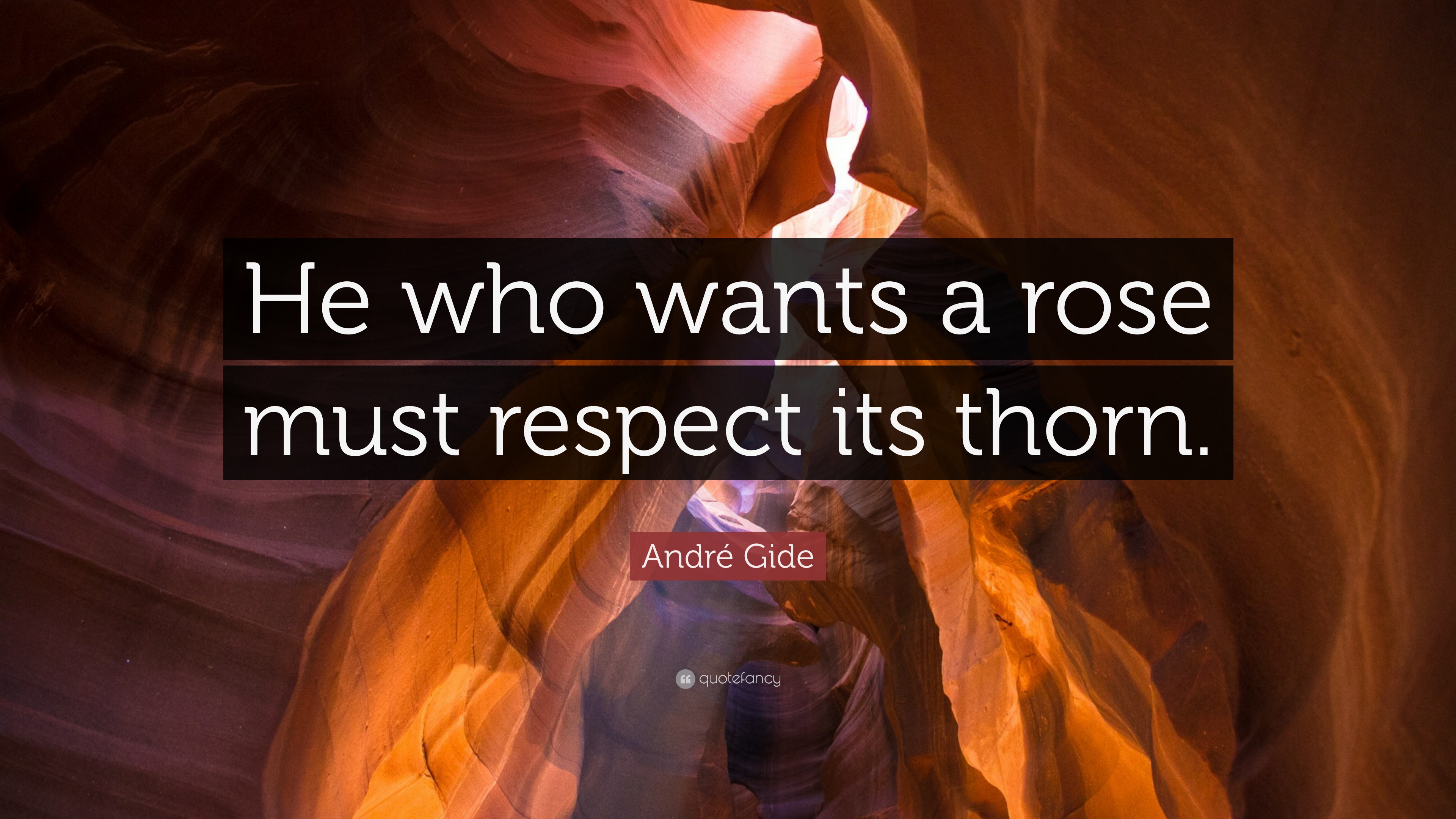 André Gide Quote: “He who wants a rose must respect its thorn.”