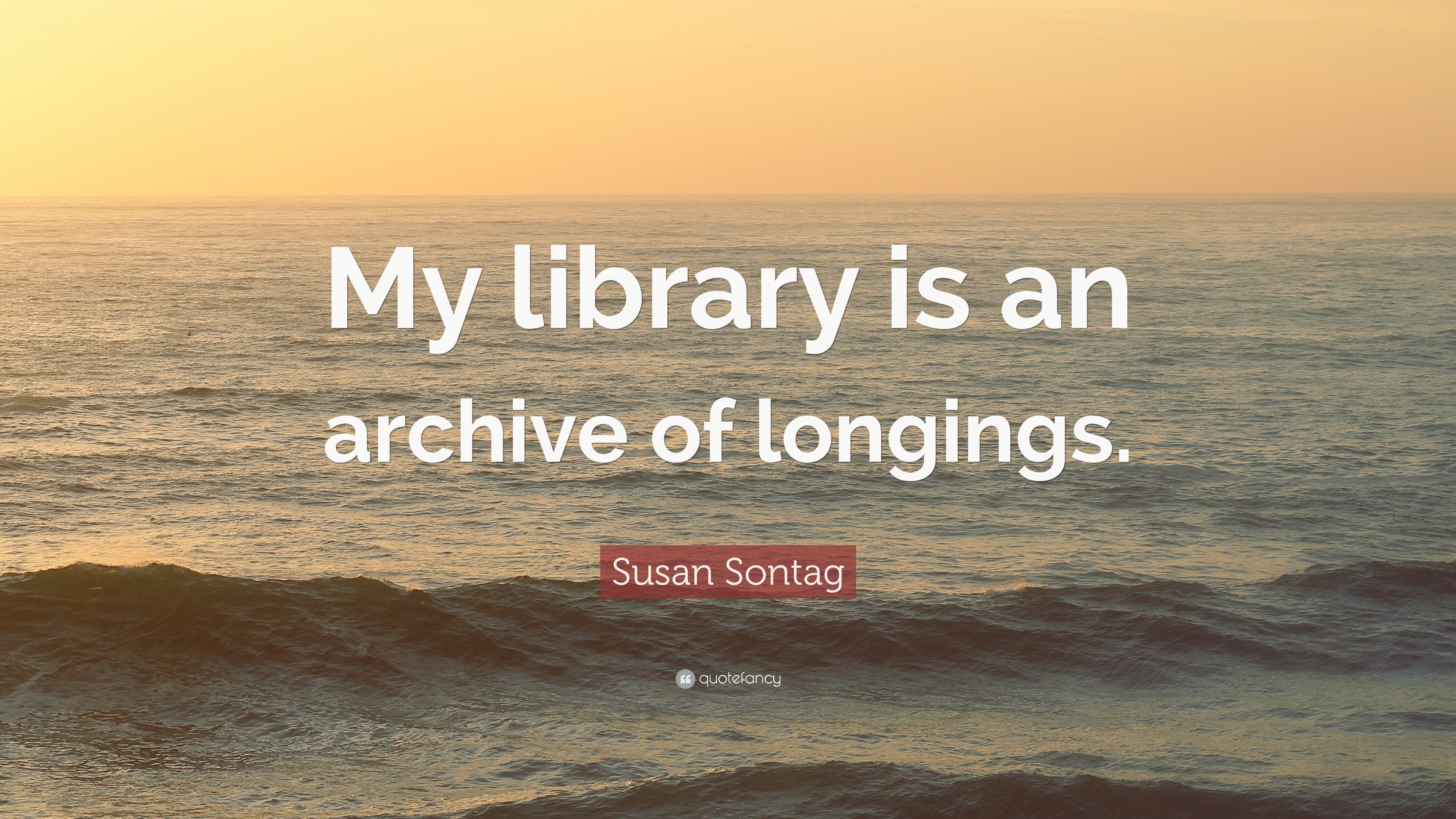 Susan Sontag Quote: “My library is an archive of longings.”