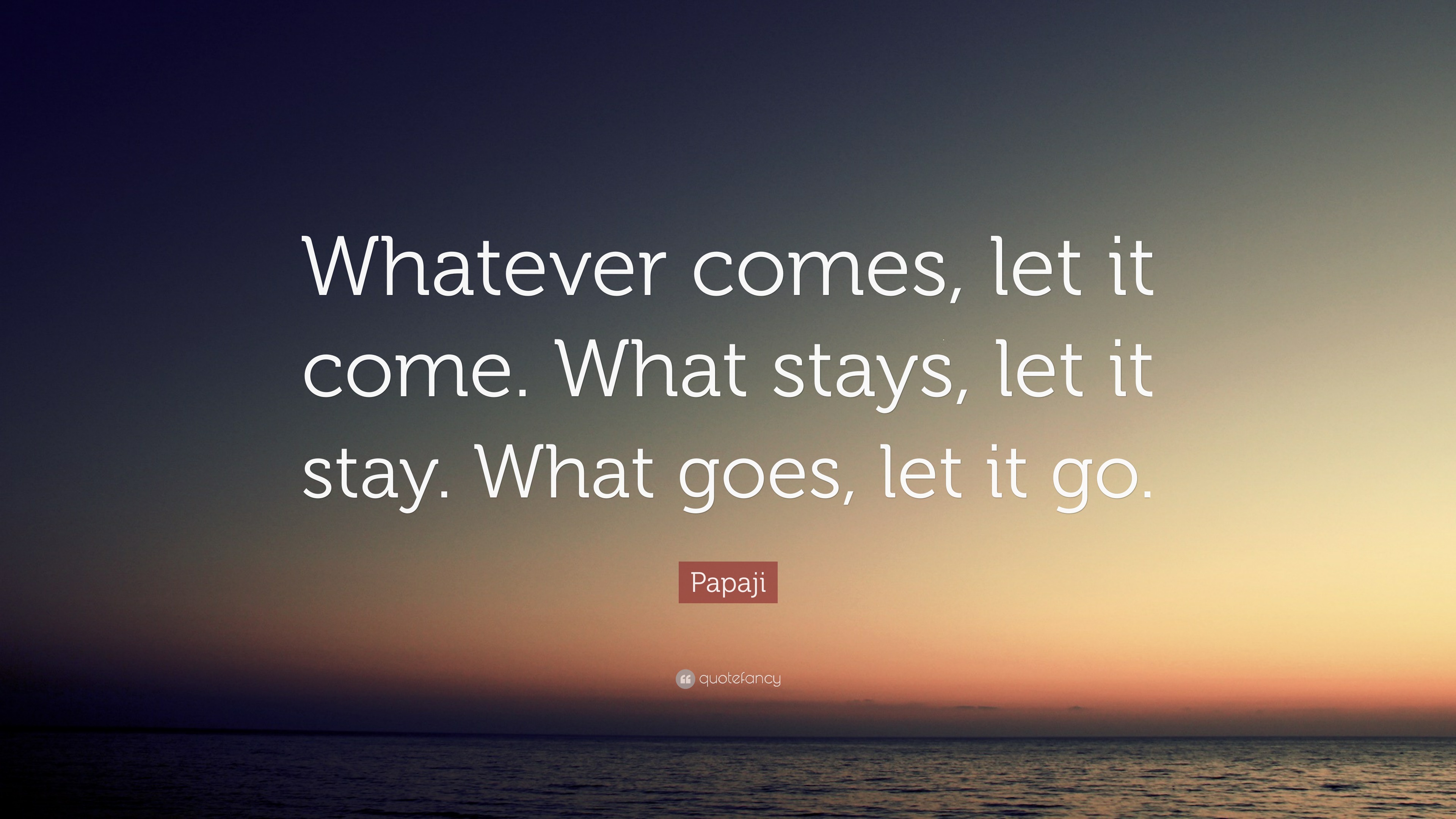 Papaji Quote: “Whatever comes, let it come. What stays, let it stay ...