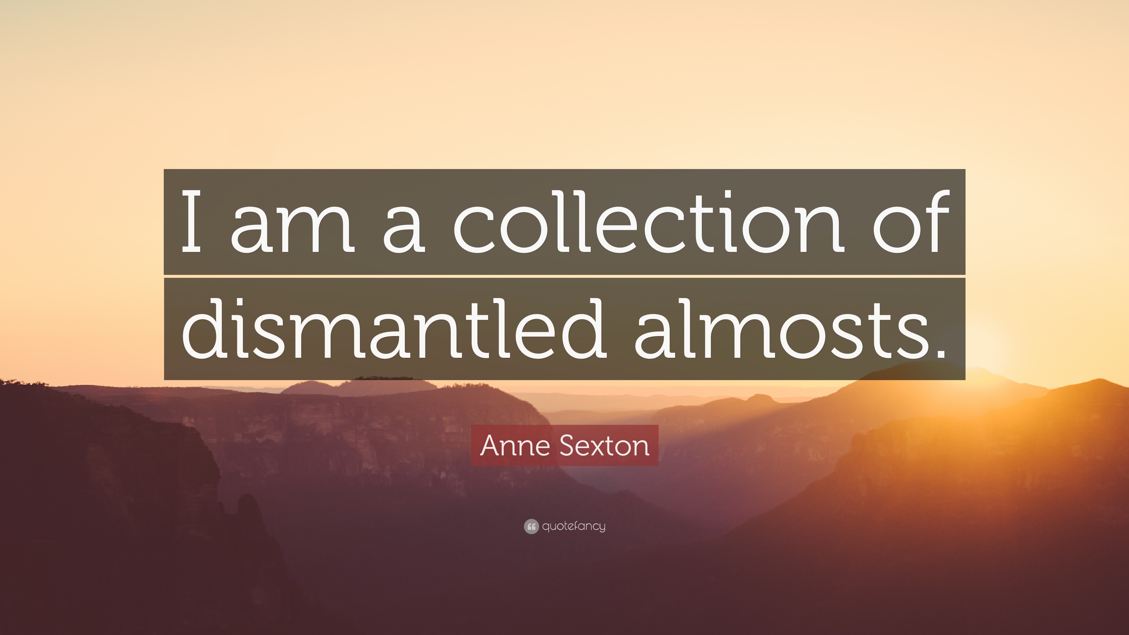 Anne Sexton Quote: “I am a collection of dismantled almosts.”