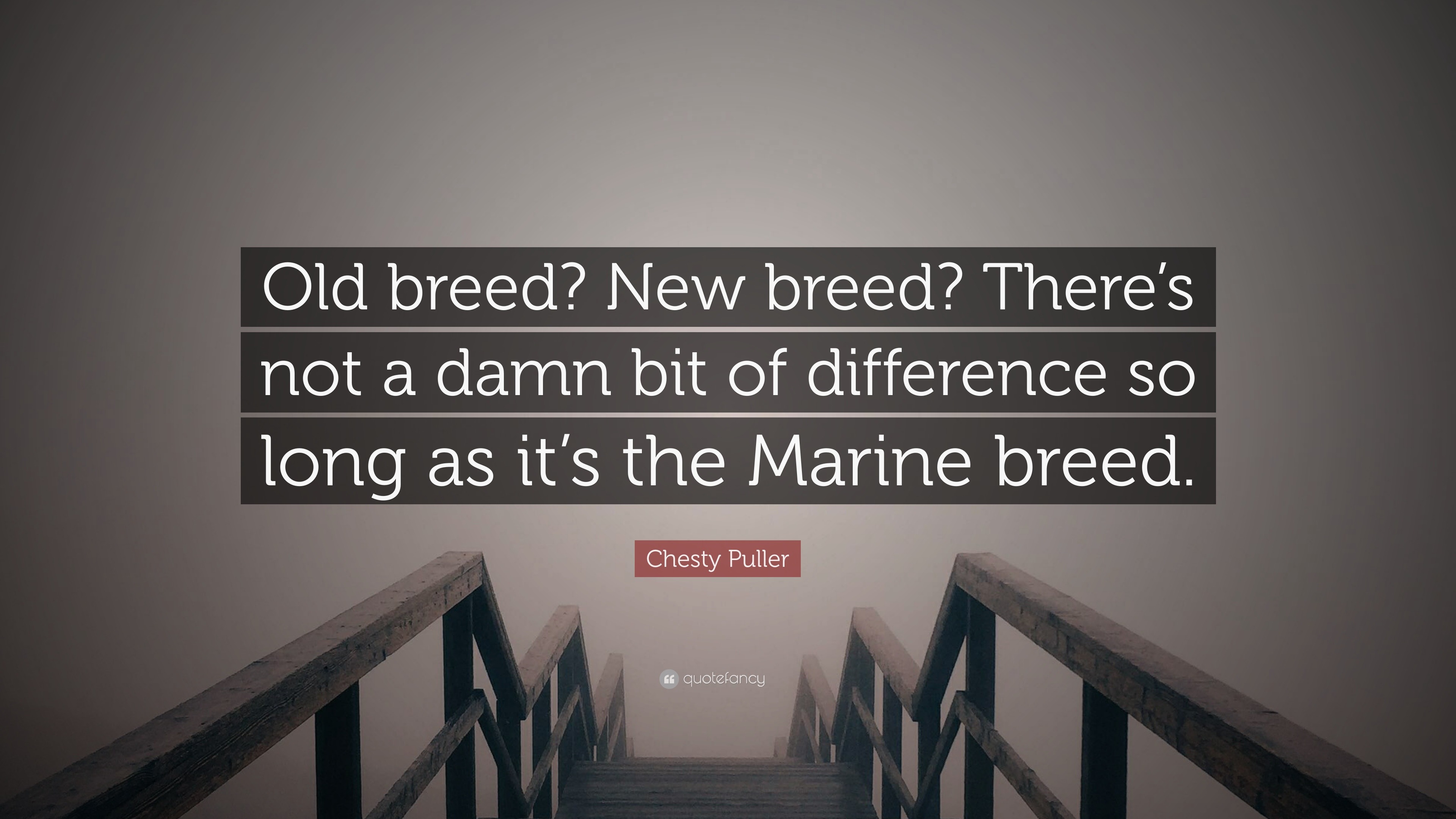 Chesty Puller Quote: “Old breed? New breed? There’s not a damn bit of ...