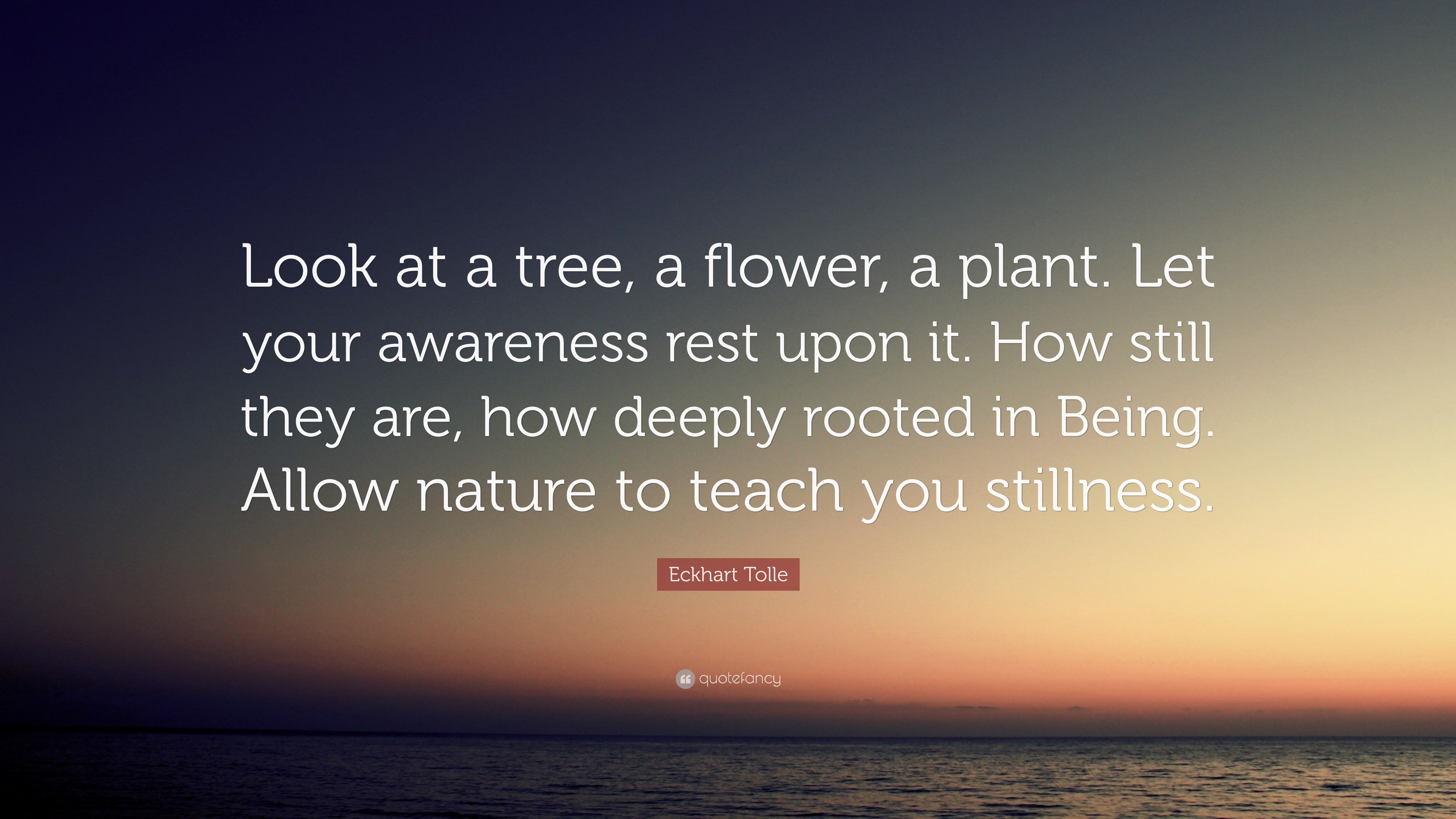 Eckhart Tolle Quote: “Look at a tree, a flower, a plant. Let your ...