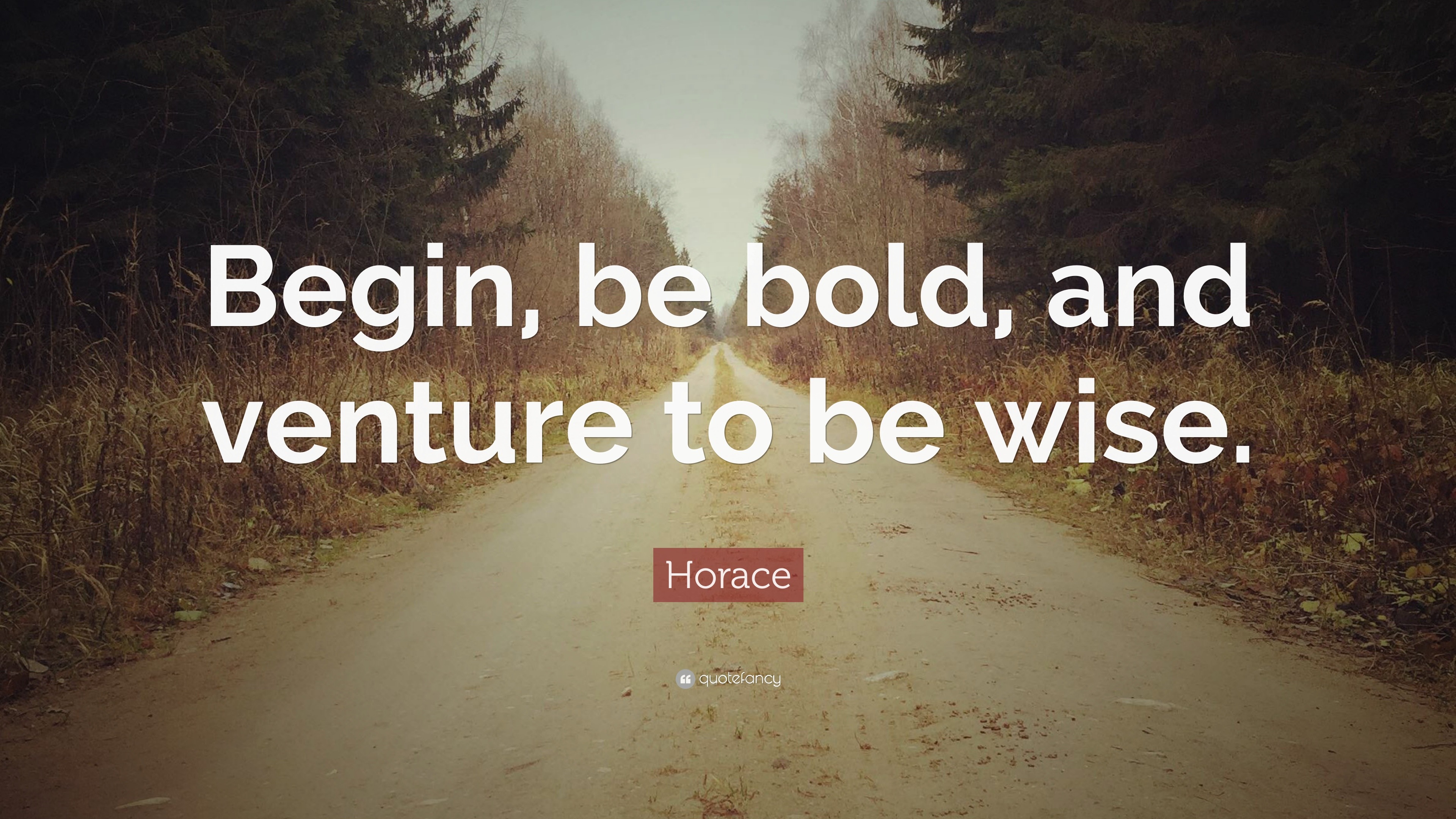 Horace Quote: “Begin, be bold, and venture to be wise.”