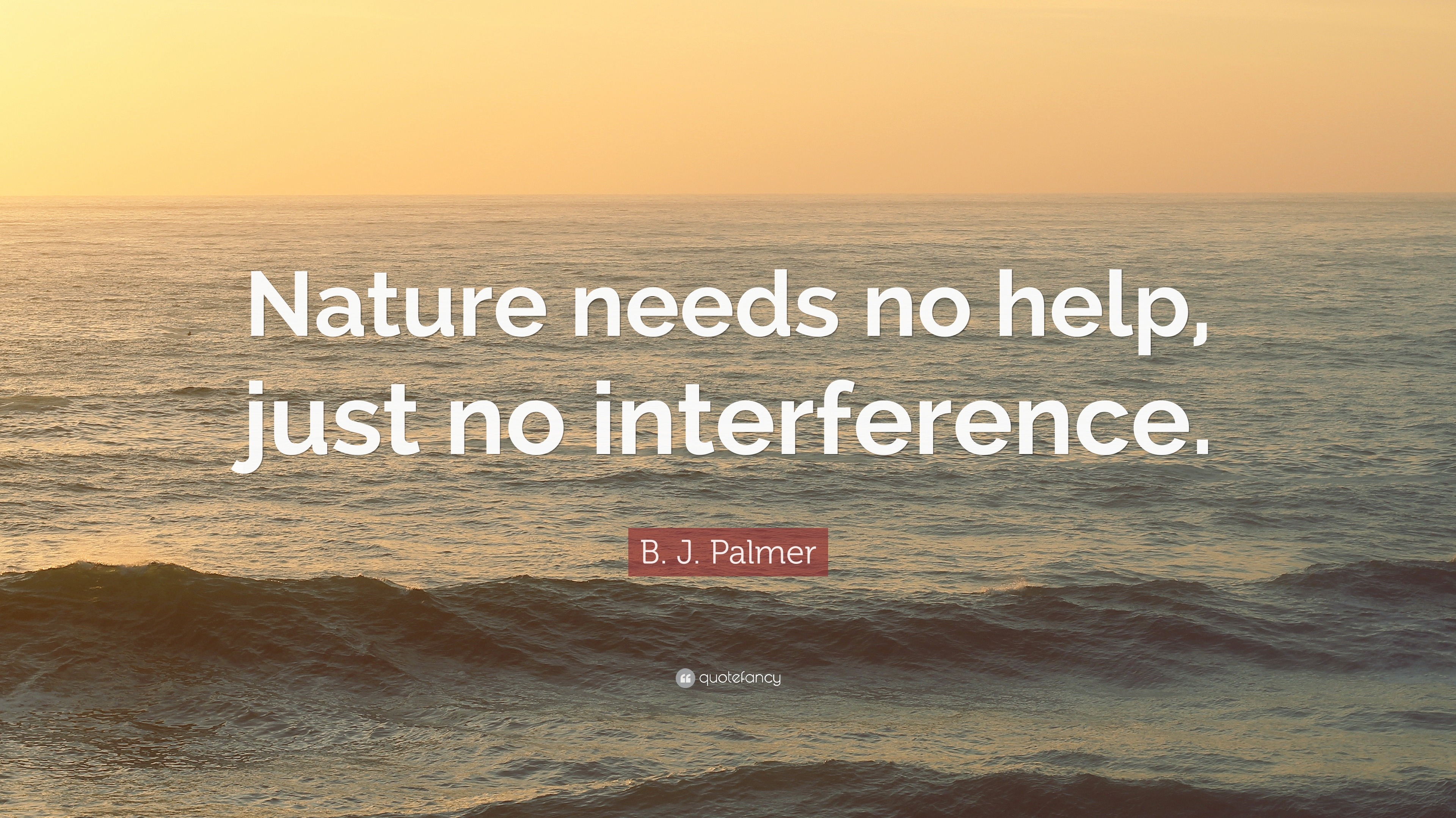 B. J. Palmer Quote: “Nature needs no help, just no interference.”