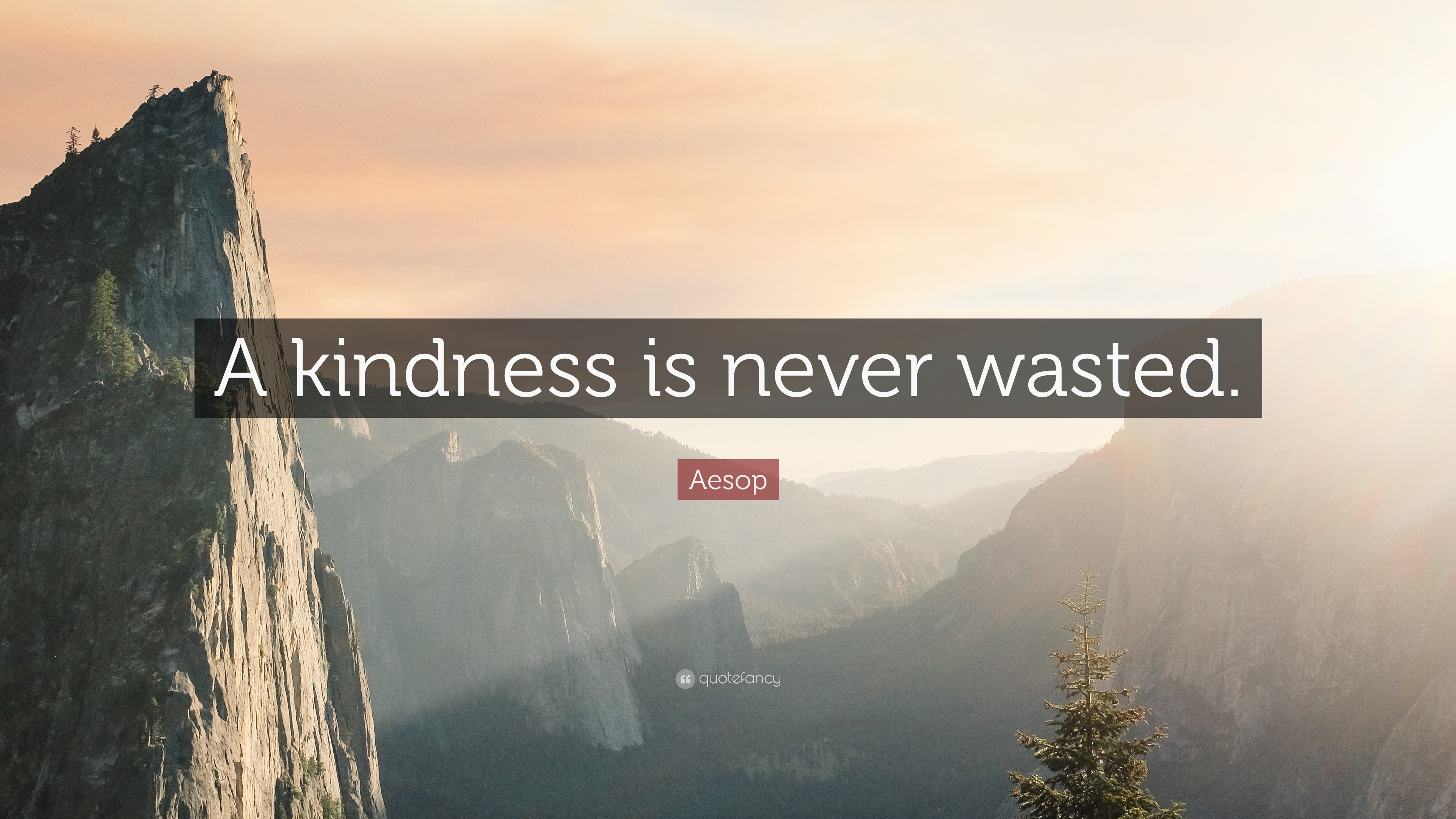 Aesop Quote: “A kindness is never wasted.”