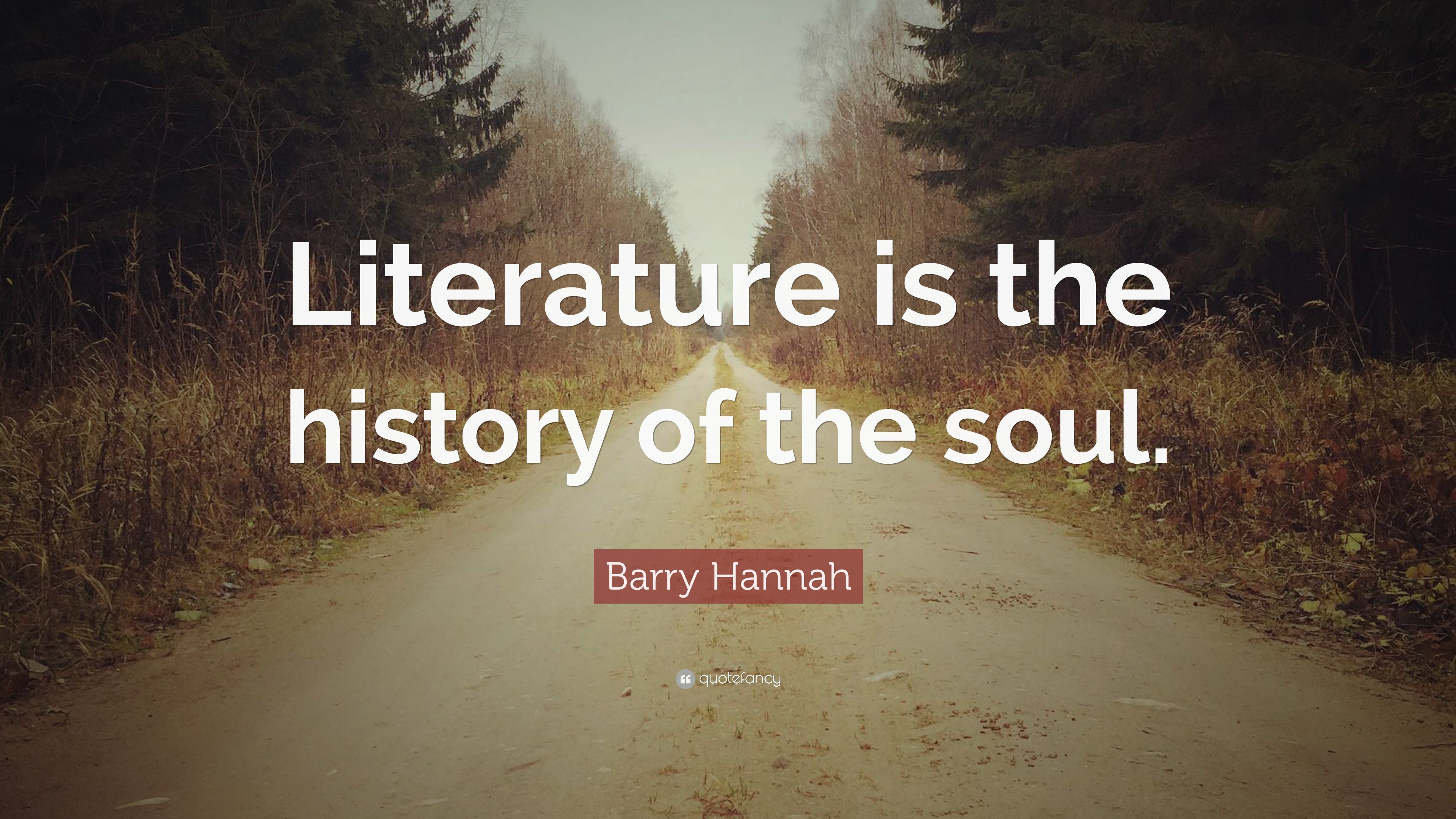 Barry Hannah Quote: “Literature is the history of the soul.”