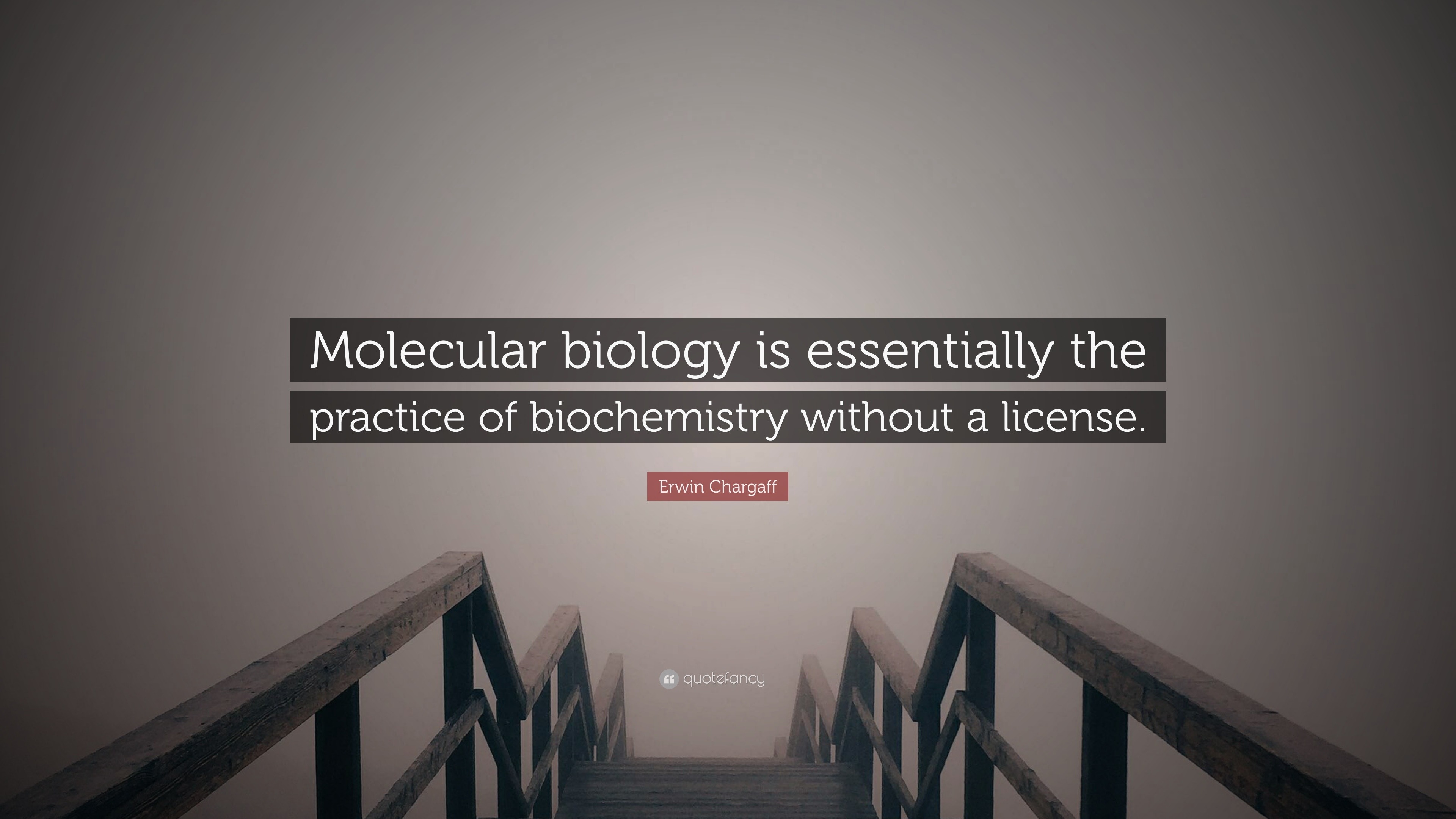 Erwin Chargaff Quote: “Molecular biology is essentially the practice of ...