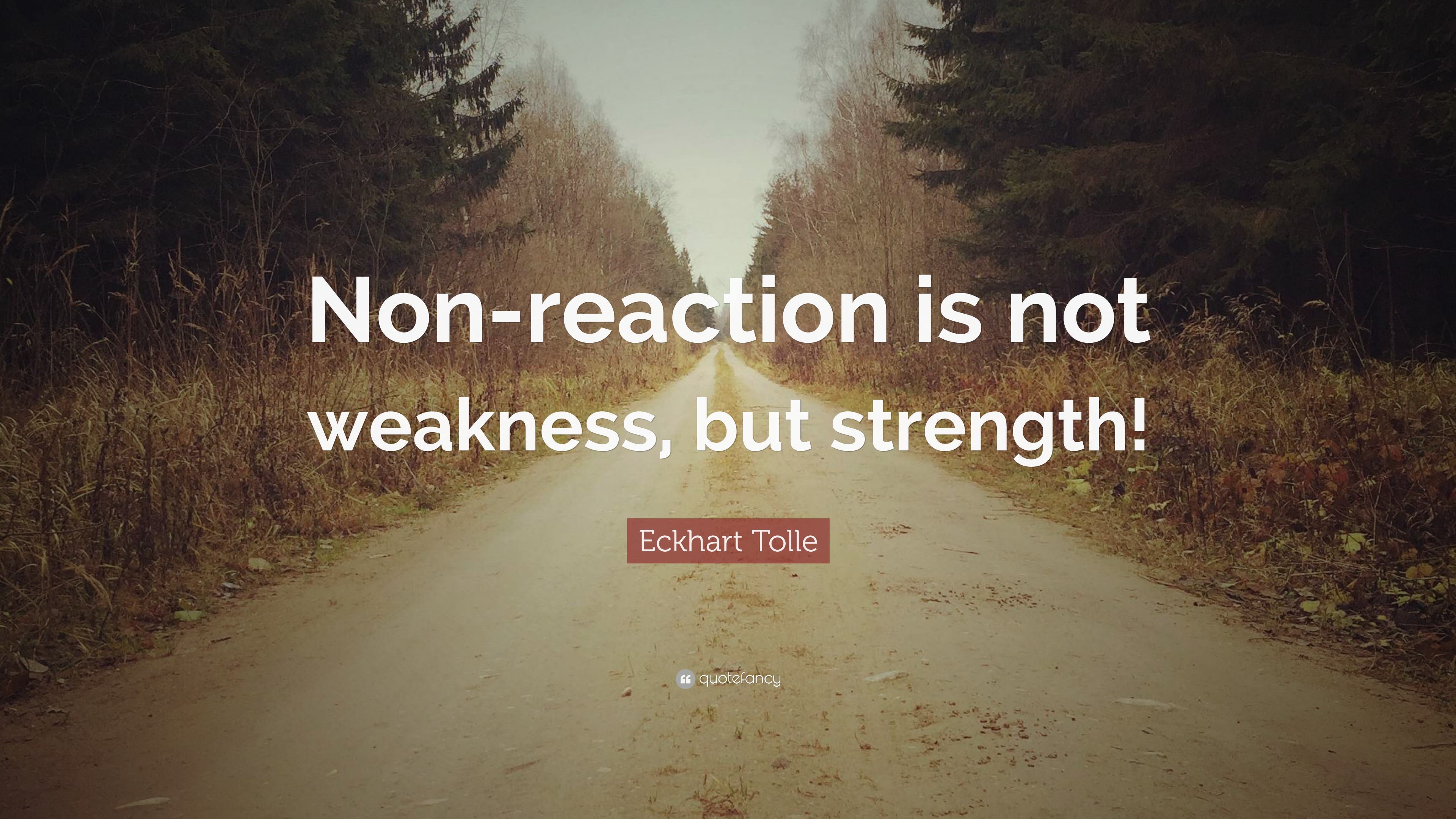 Eckhart Tolle Quote: “Non-reaction is not weakness, but strength!”