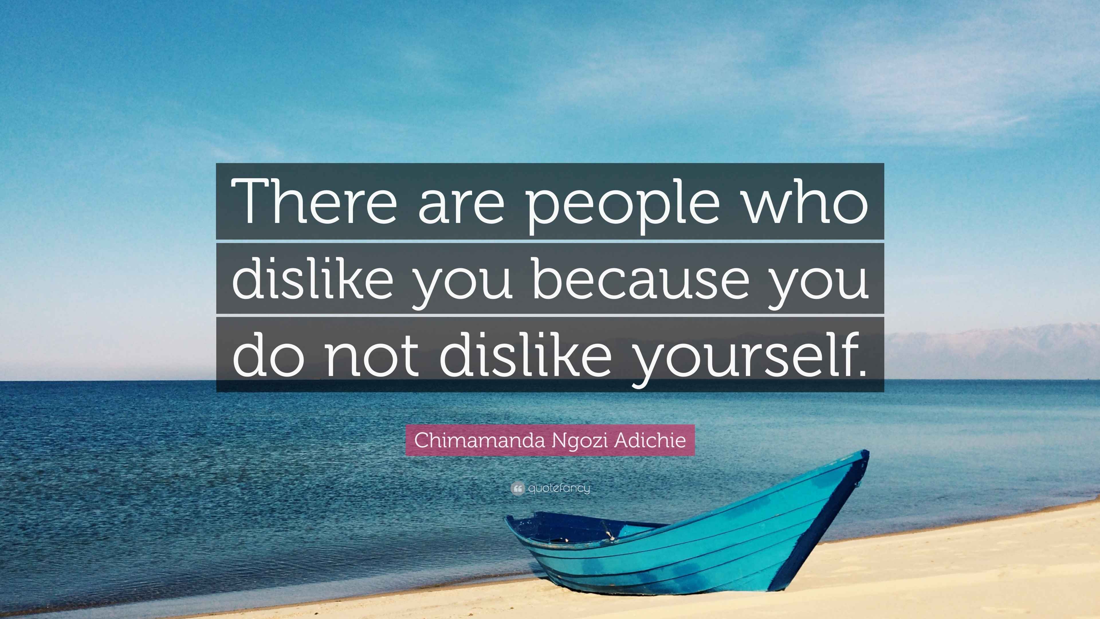 Chimamanda Ngozi Adichie Quote: “There are people who dislike you ...