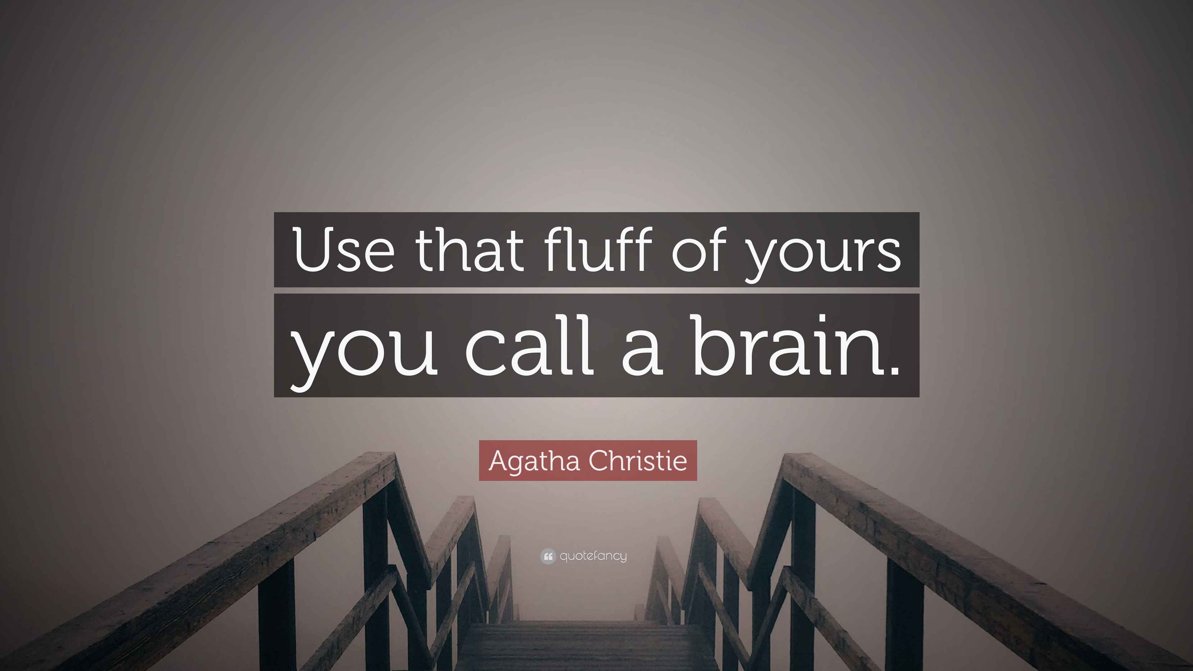 Agatha Christie Quote: “Use that fluff of yours you call a brain.”