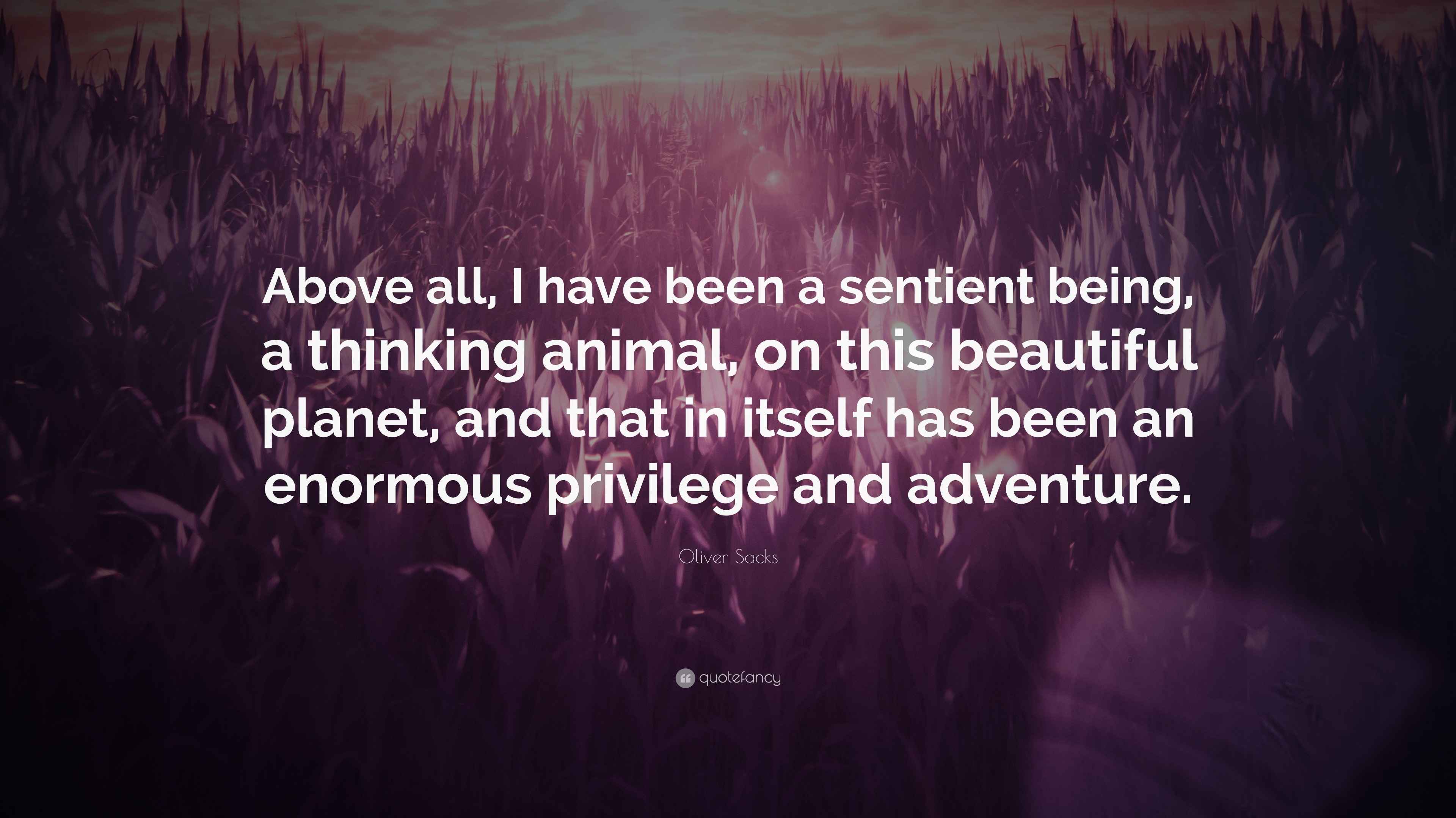 Oliver Sacks Quote: “Above all, I have been a sentient being, a ...