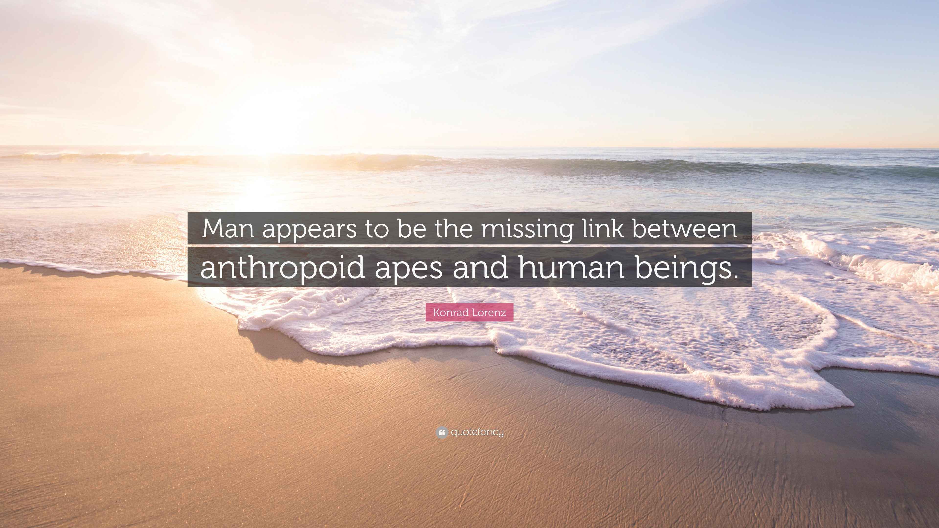 Konrad Lorenz Quote: “Man appears to be the missing link between ...