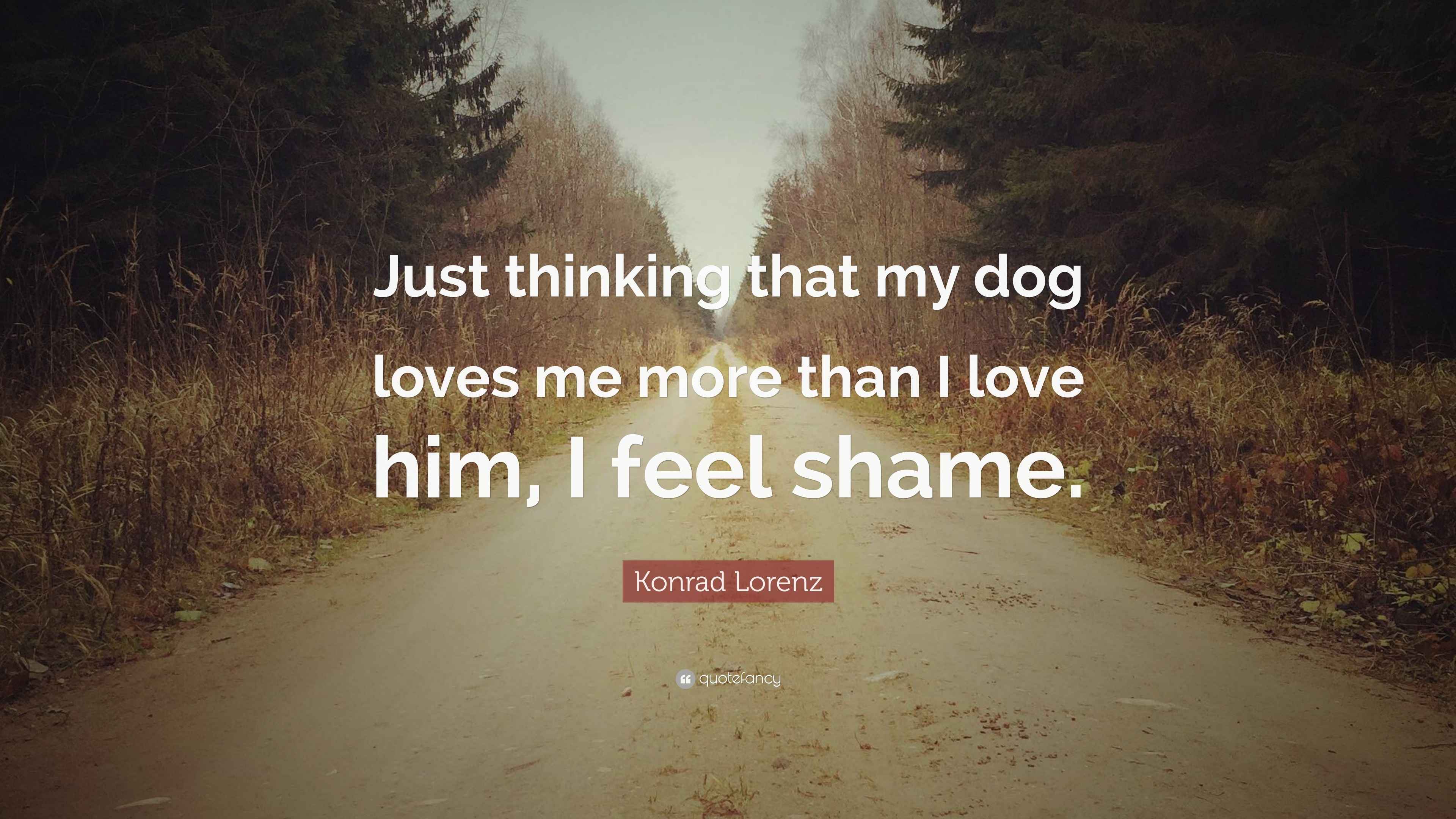 Konrad Lorenz Quote: “Just thinking that my dog loves me more than I ...