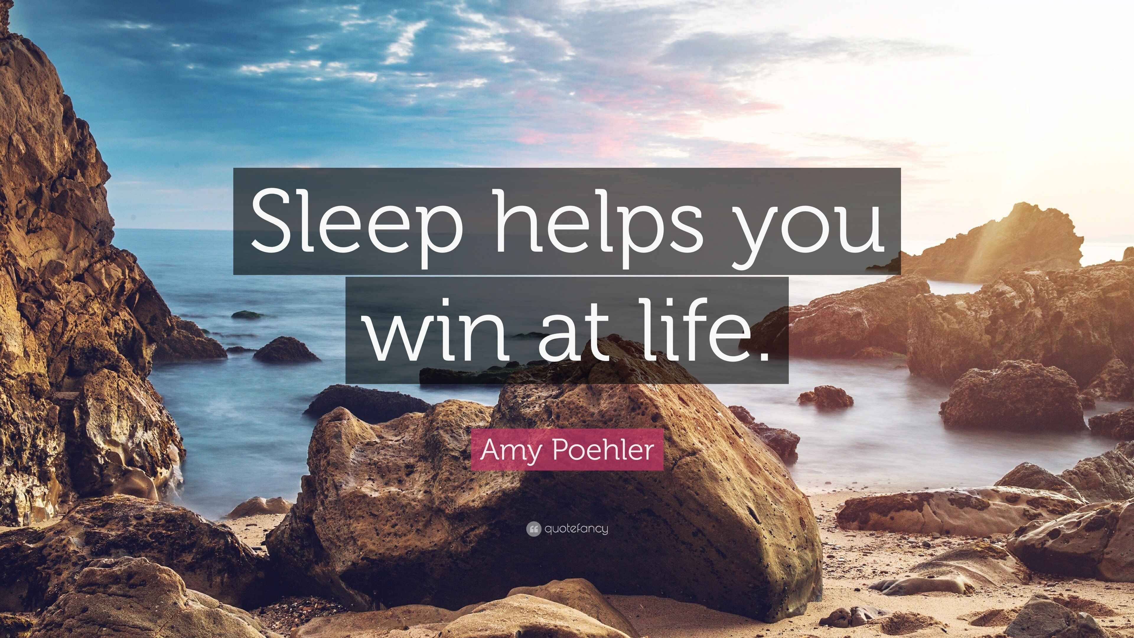 Amy Poehler Quote: “Sleep helps you win at life.”