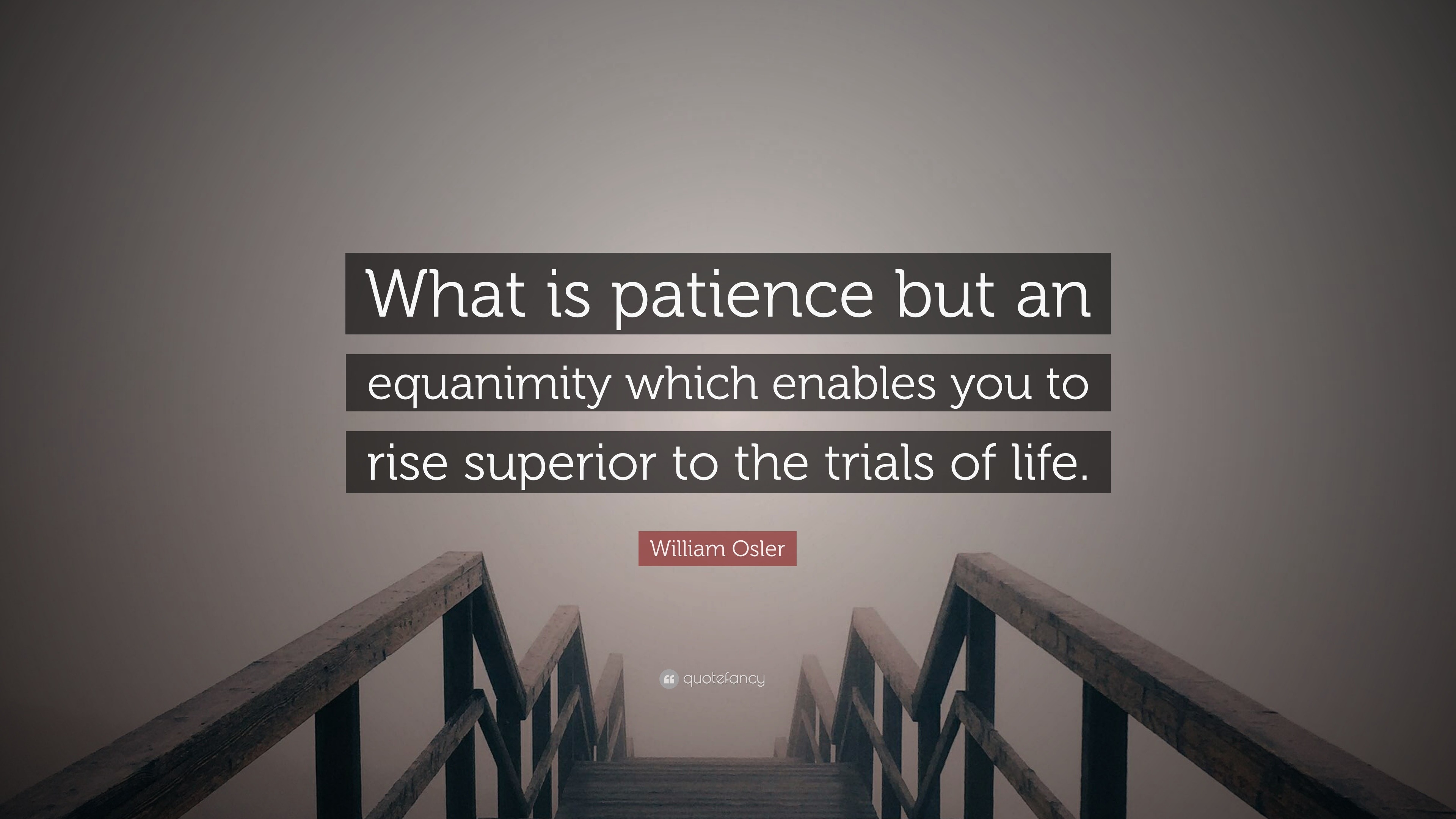 William Osler Quote: “What is patience but an equanimity which enables ...