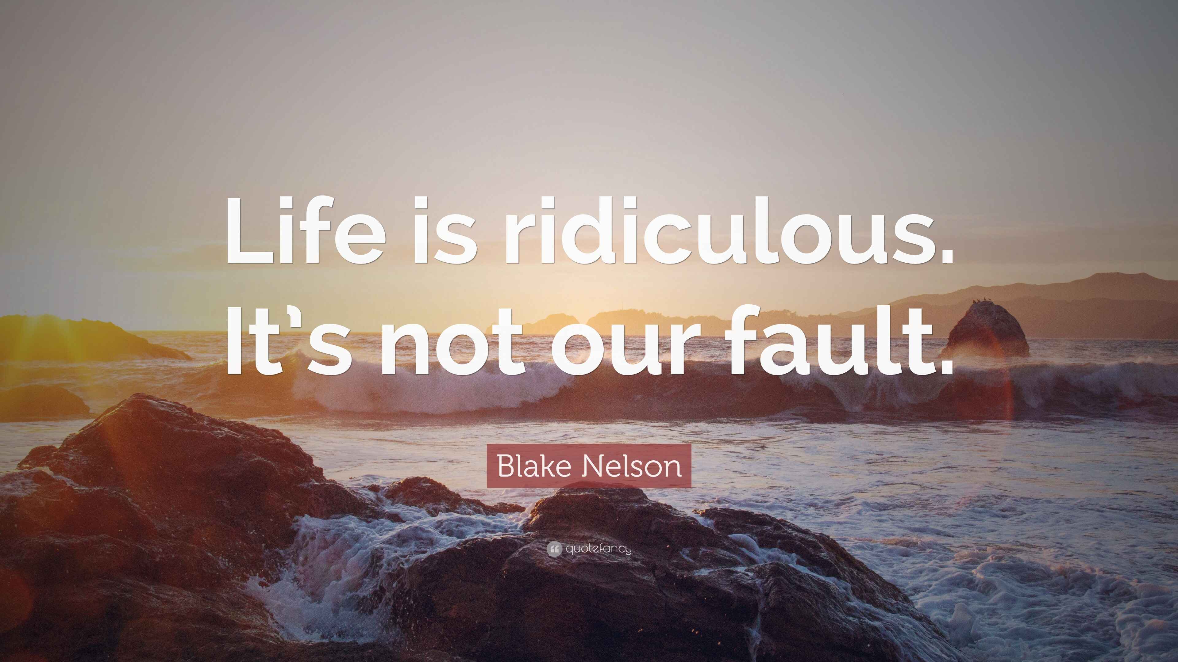 Blake Nelson Quote: “Life is ridiculous. It’s not our fault.”