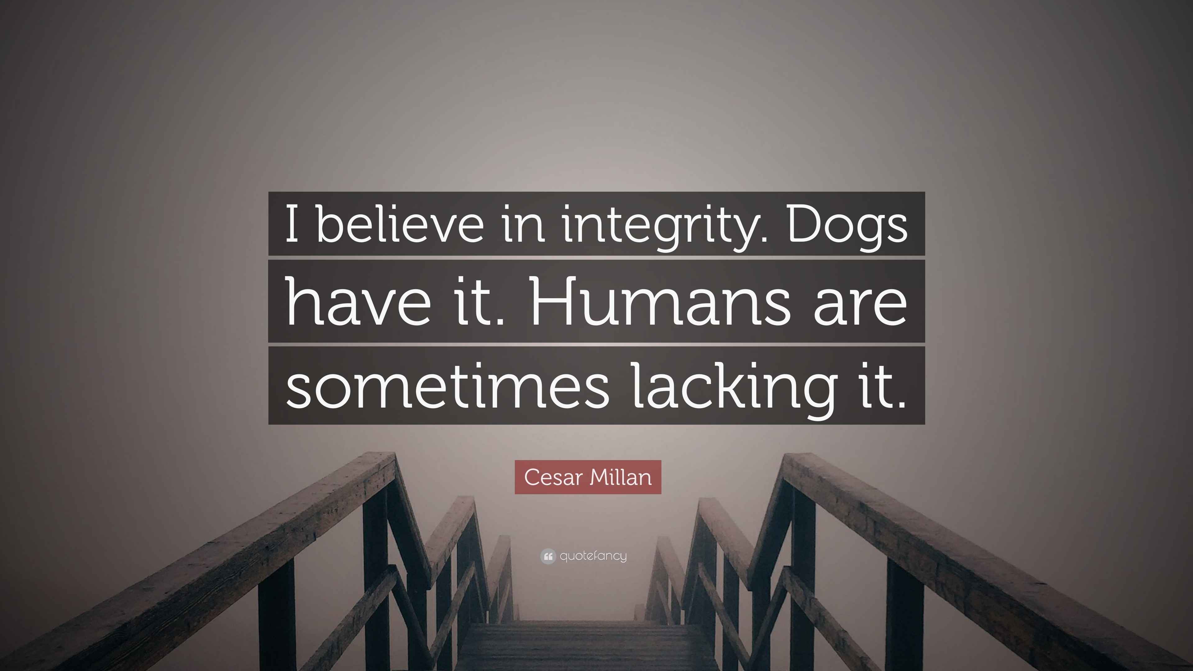 Cesar Millan Quote: “I believe in integrity. Dogs have it. Humans are ...