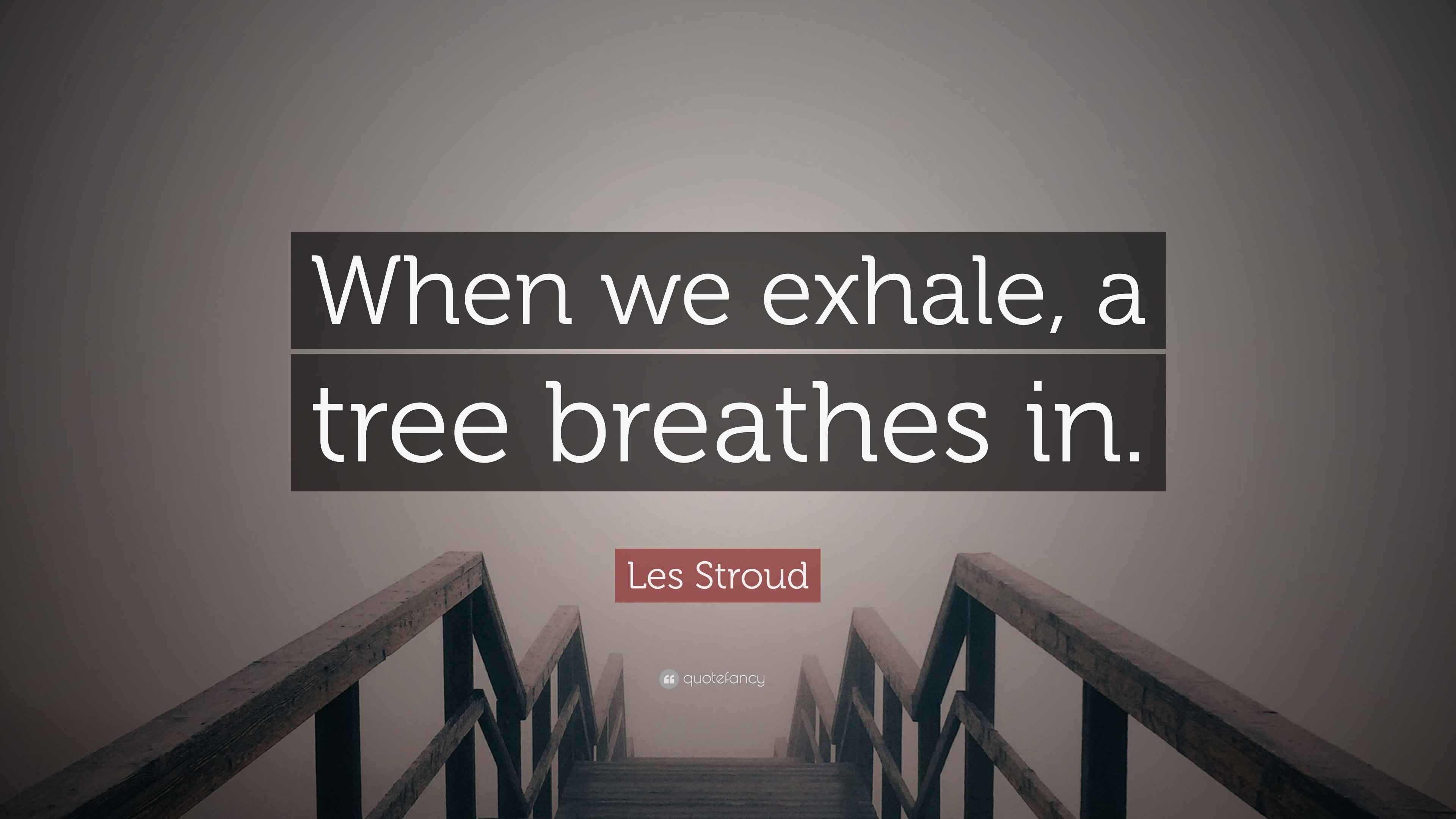 Les Stroud Quote: “When we exhale, a tree breathes in.”
